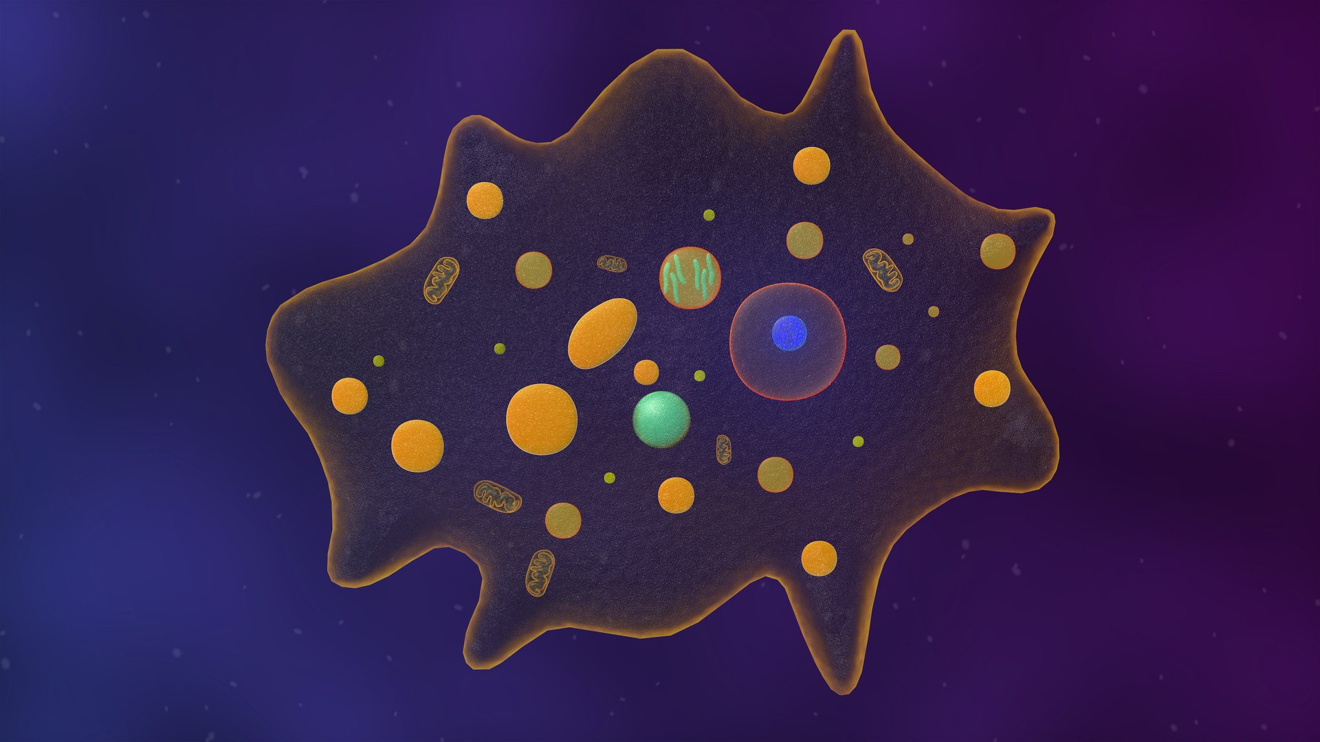 3D Amoeba Unicellular Organism - TurboSquid 2185921