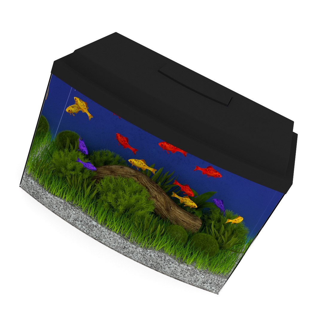 volume 24 3d model