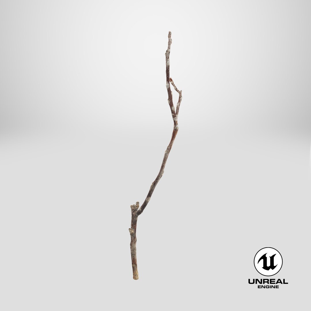 3D Scanned Sprig 06 StemCell Model - TurboSquid 2398845