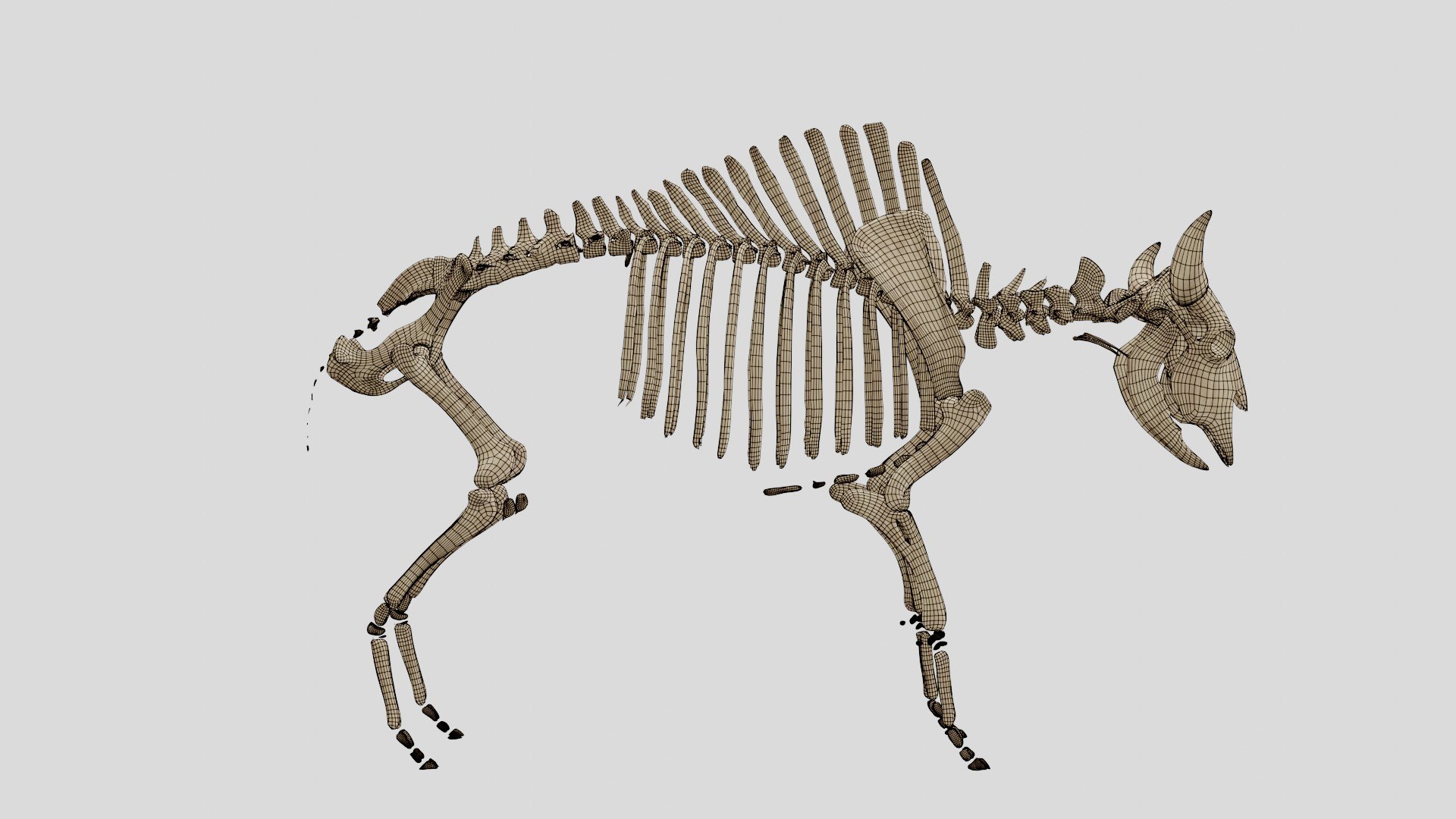 Bison Skeleton 3D Model - TurboSquid 2115273