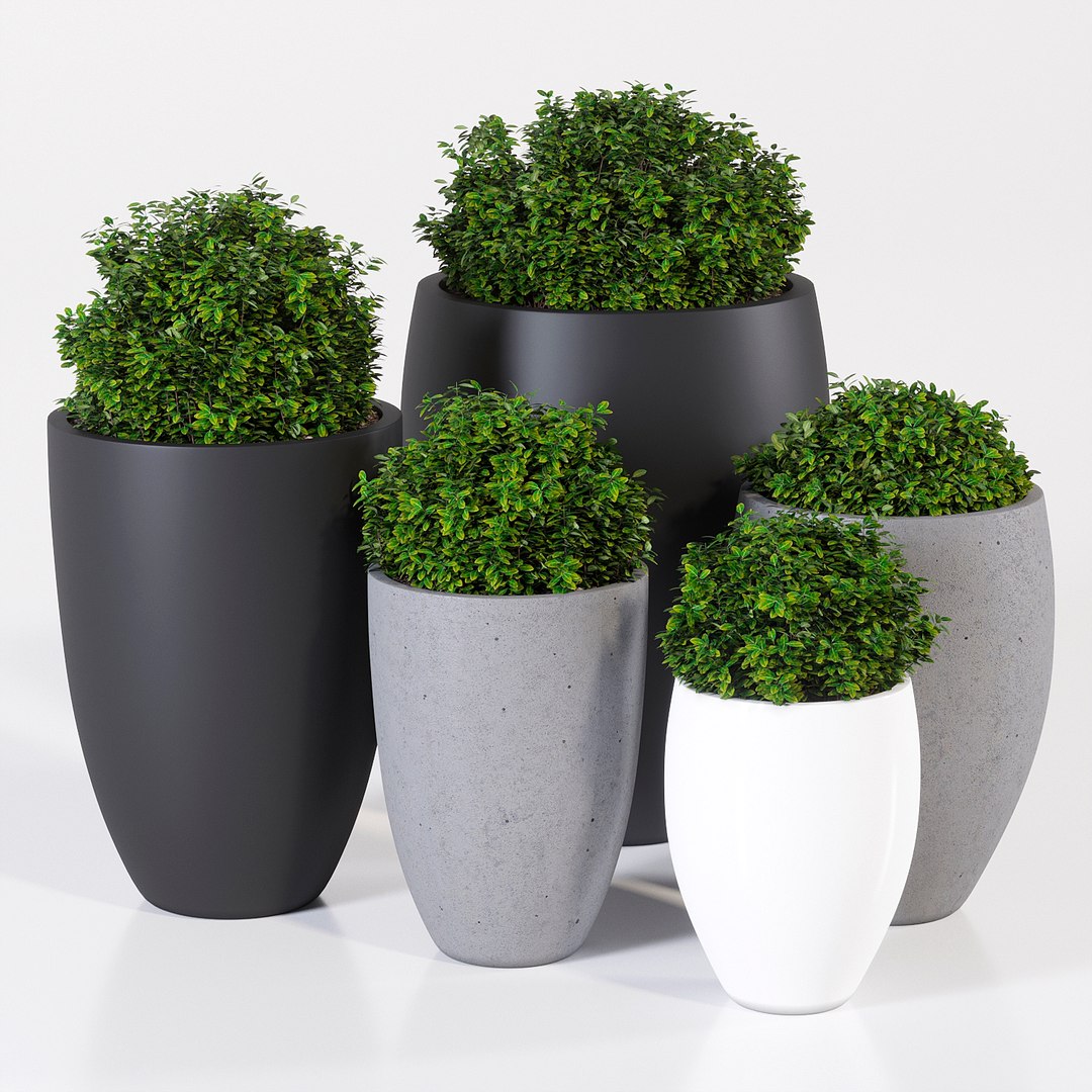 Pottery Pots 3D Model - TurboSquid 1184209