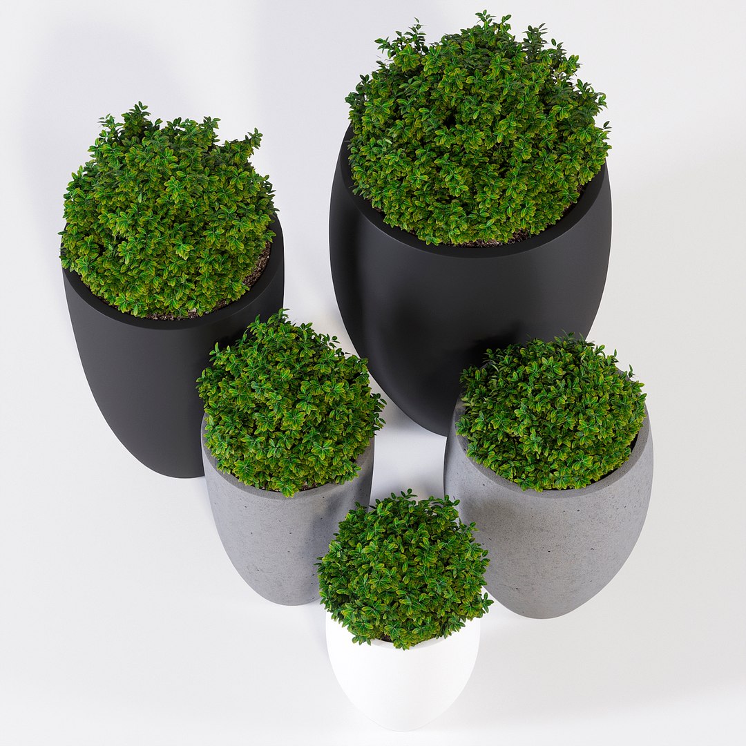 Pottery Pots 3D Model - TurboSquid 1184209