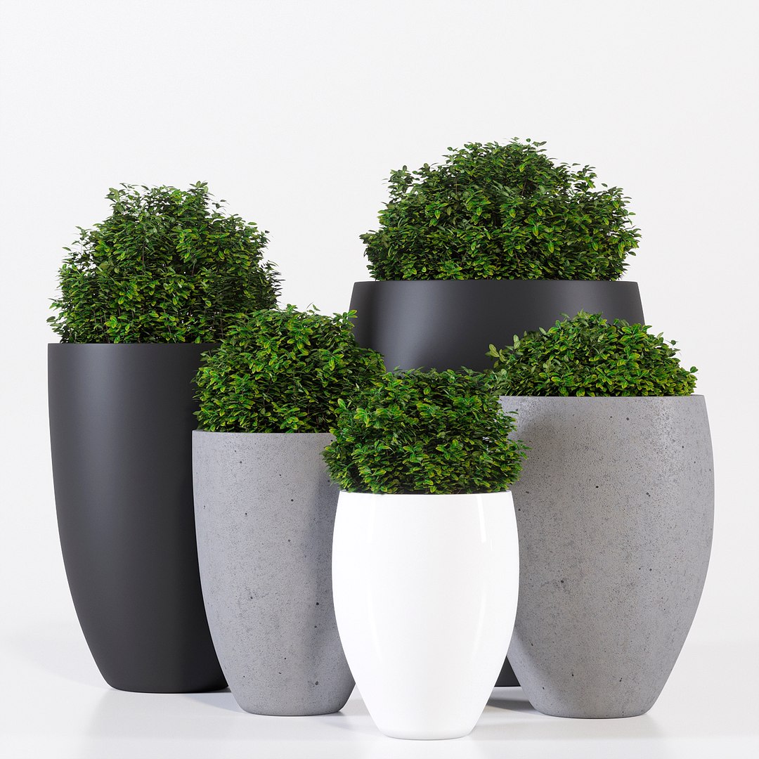 Pottery Pots 3D Model - TurboSquid 1184209