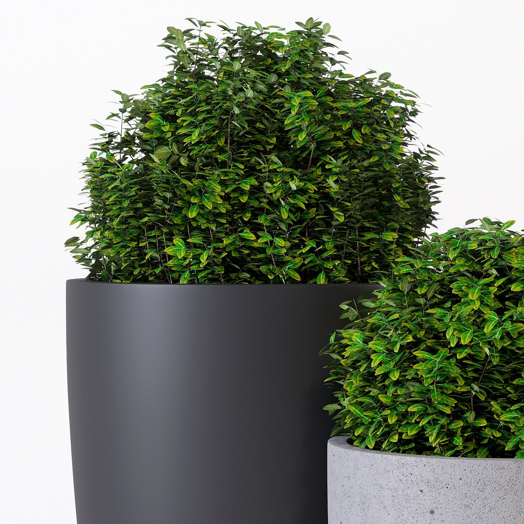 Pottery Pots 3D Model - TurboSquid 1184209