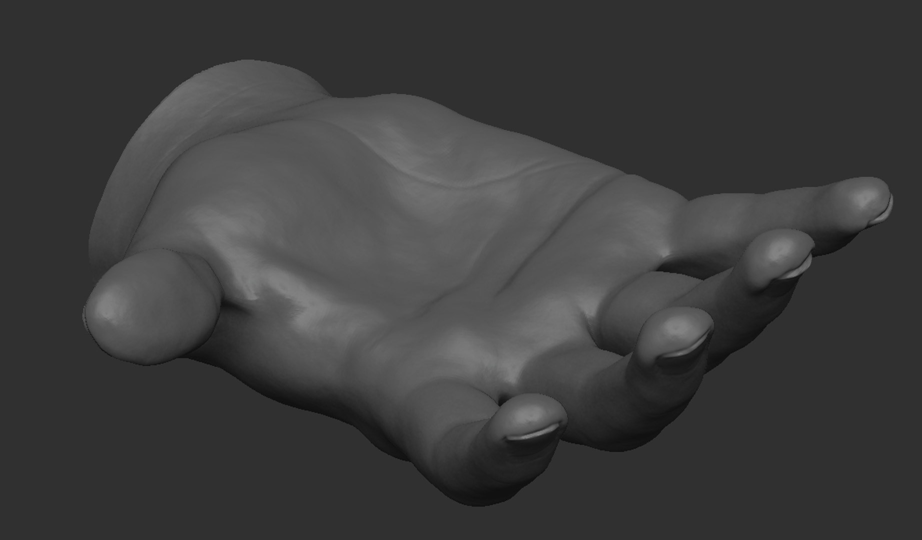 Male Hand Model - TurboSquid 1493412
