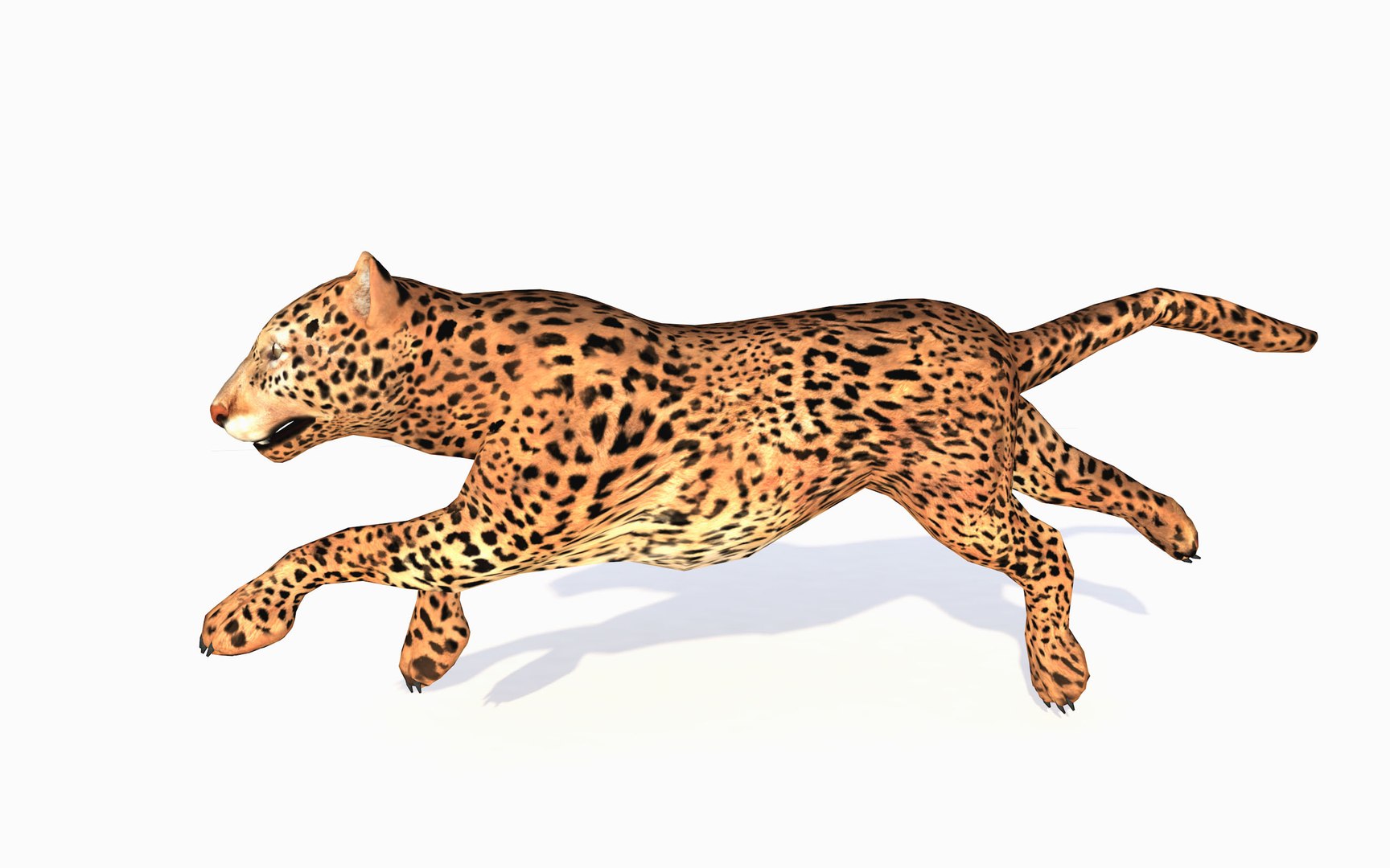 3D Leopard Animations - TurboSquid 1653306