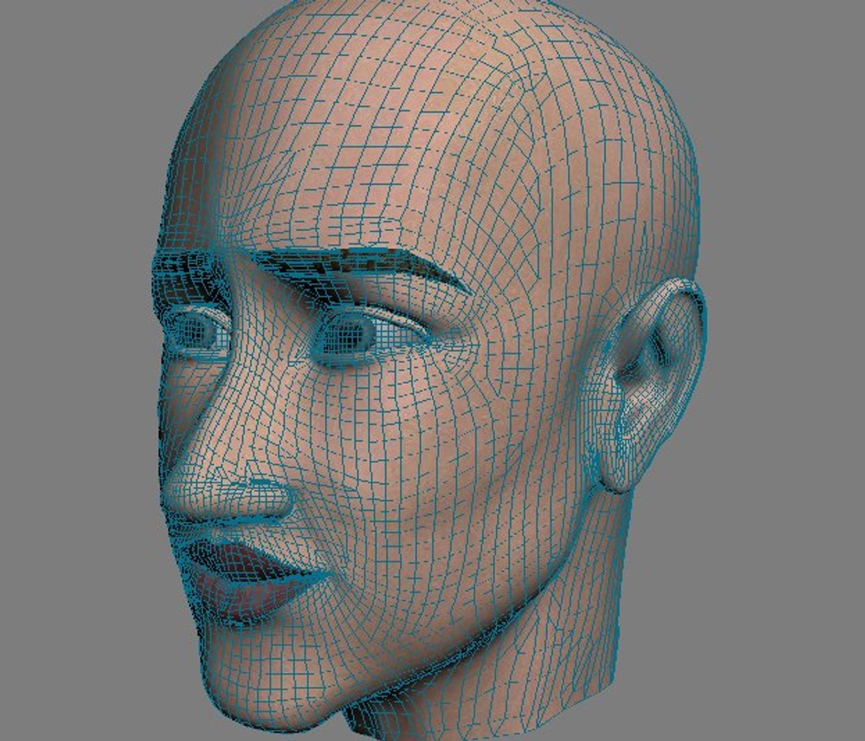 3ds Photo Realistic Women Head