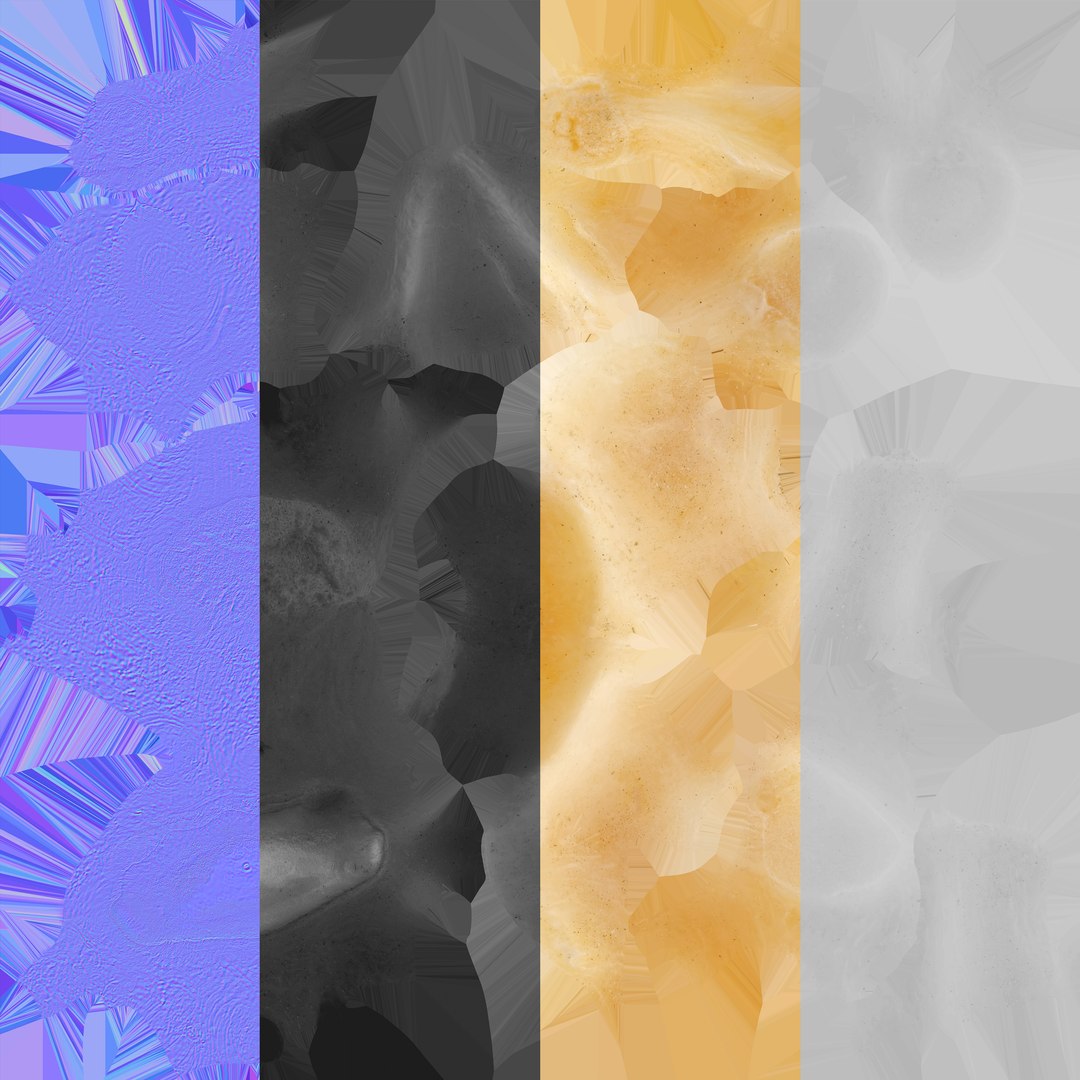 Kangaroo Red Necked Wallaby Cervical Vertebrae C7 3D Model - TurboSquid ...