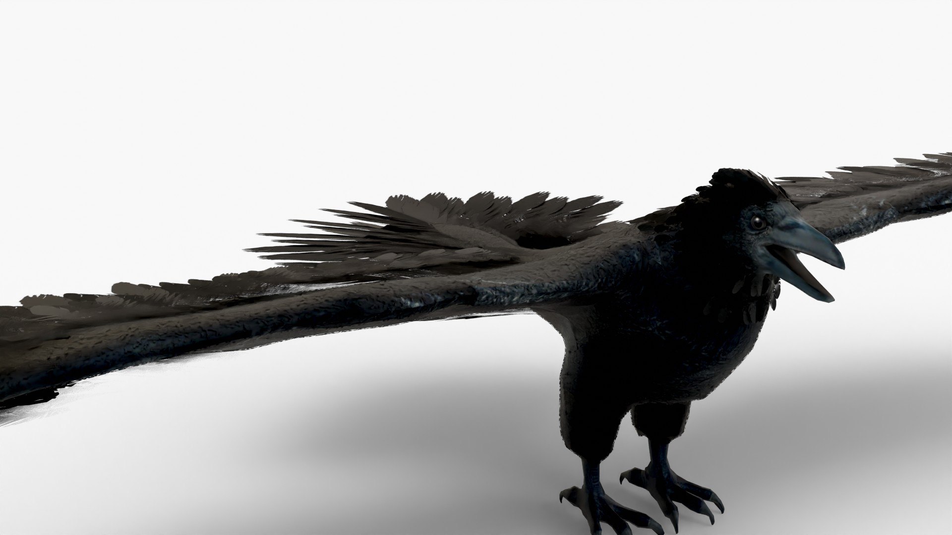 3D American Crow Model - TurboSquid 2296115