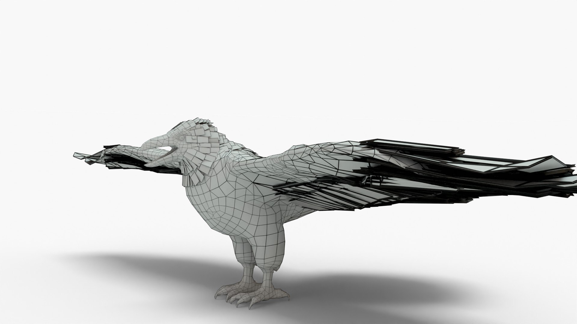 3D American Crow Model - TurboSquid 2296115