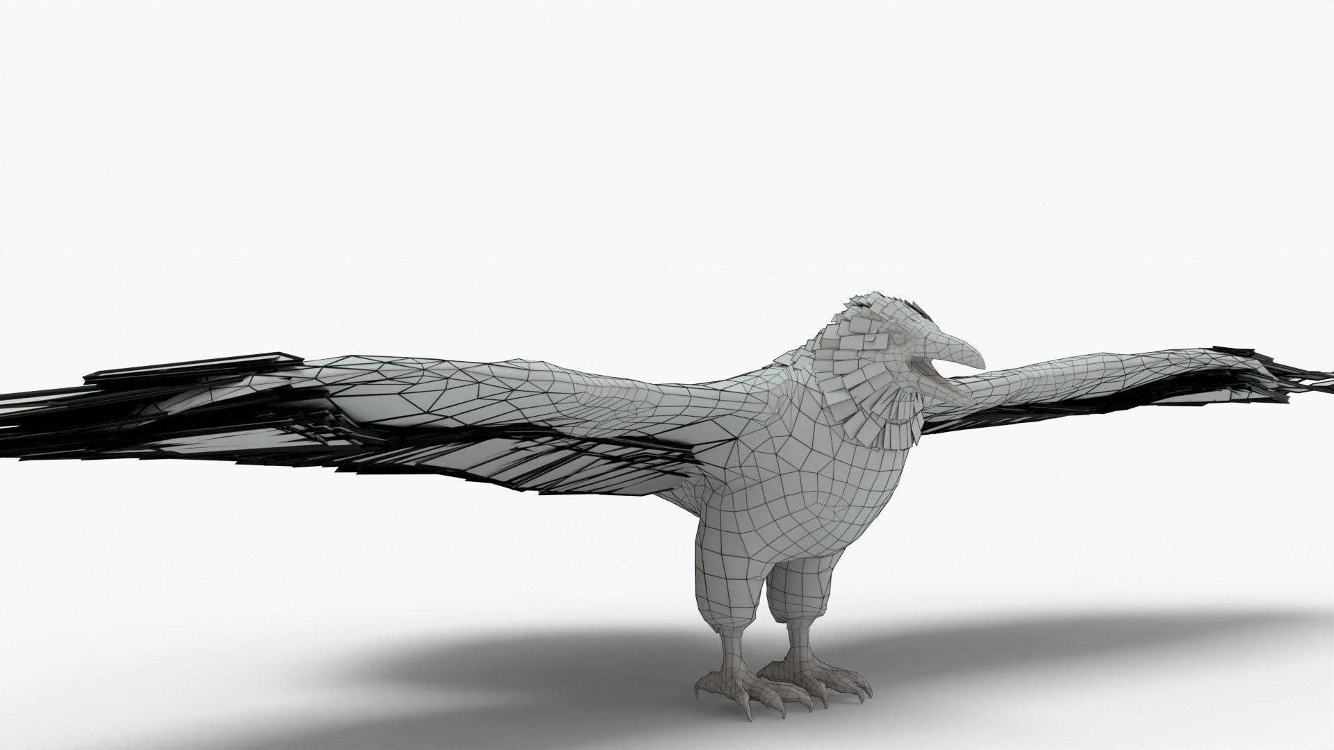 3D American Crow Model - TurboSquid 2296115