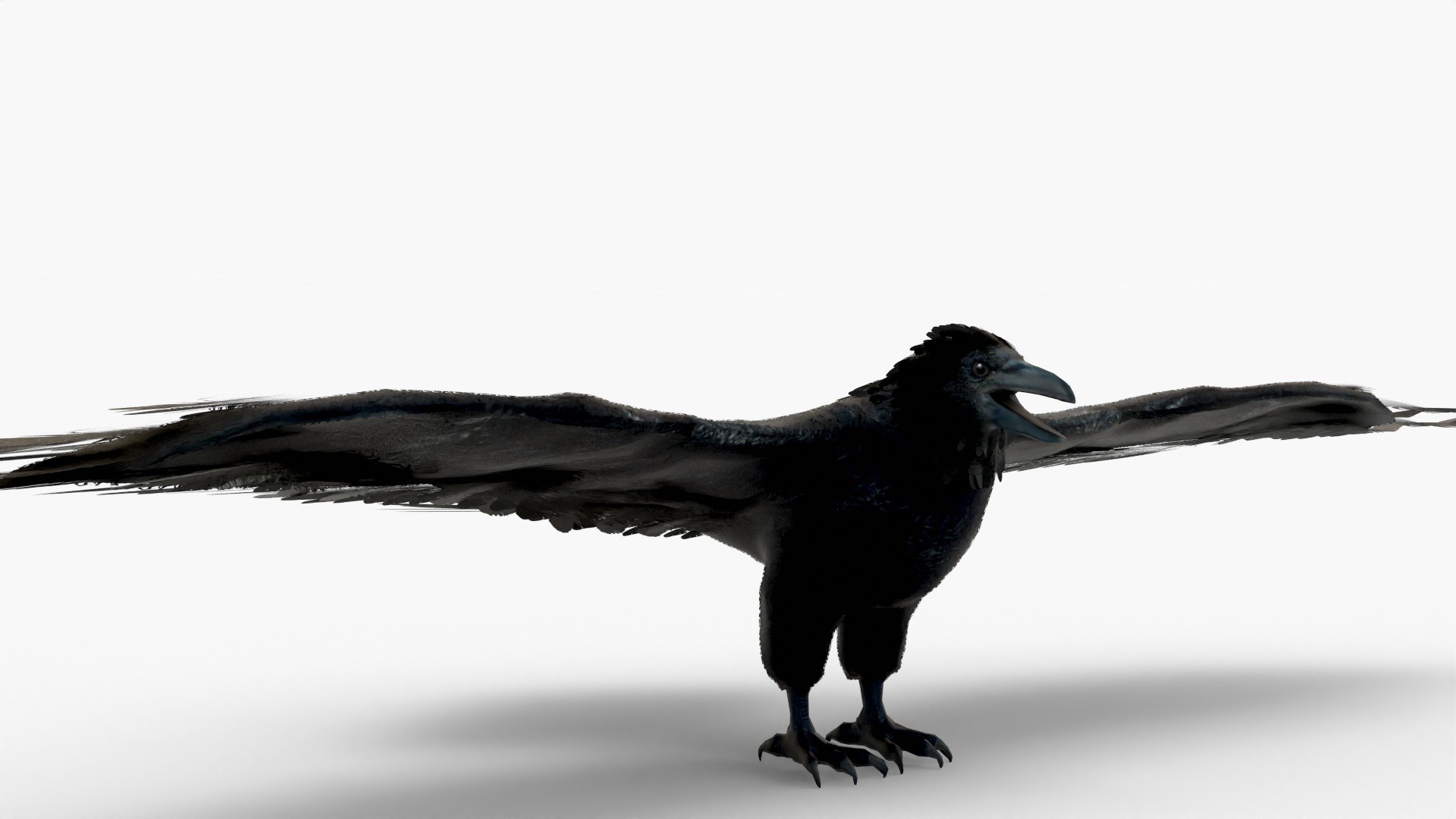 3D American Crow Model - TurboSquid 2296115