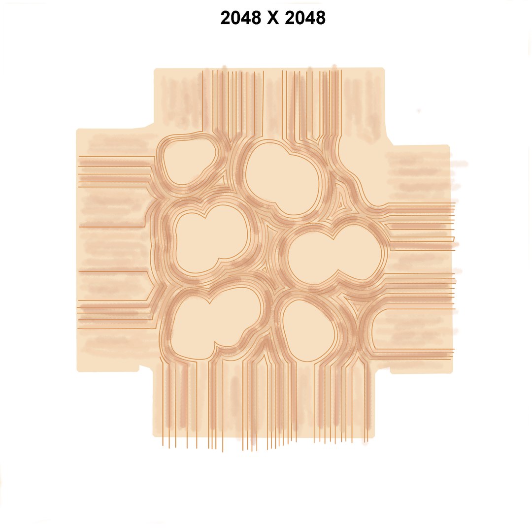 3d Cartilage Cell Model