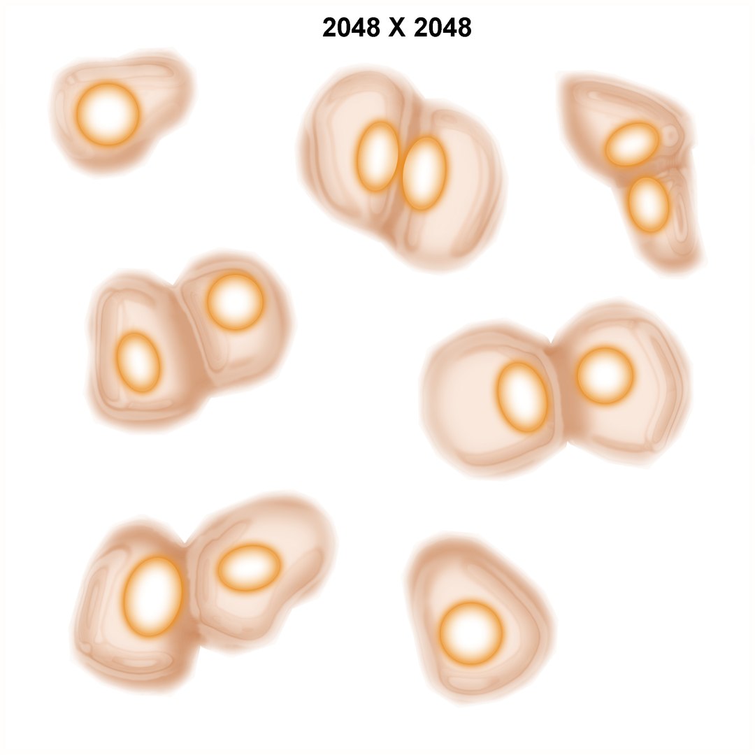 3d Cartilage Cell Model