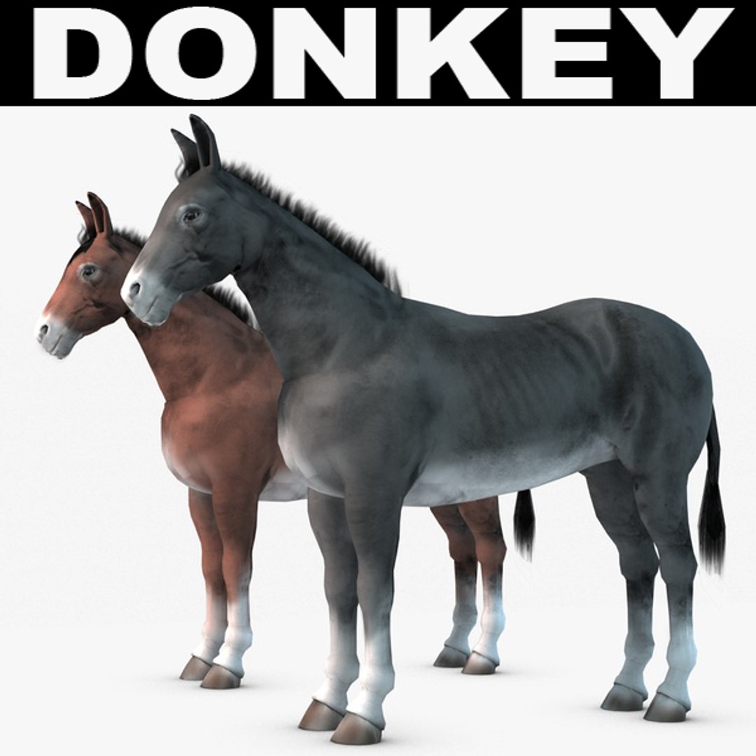 max donkey realistic