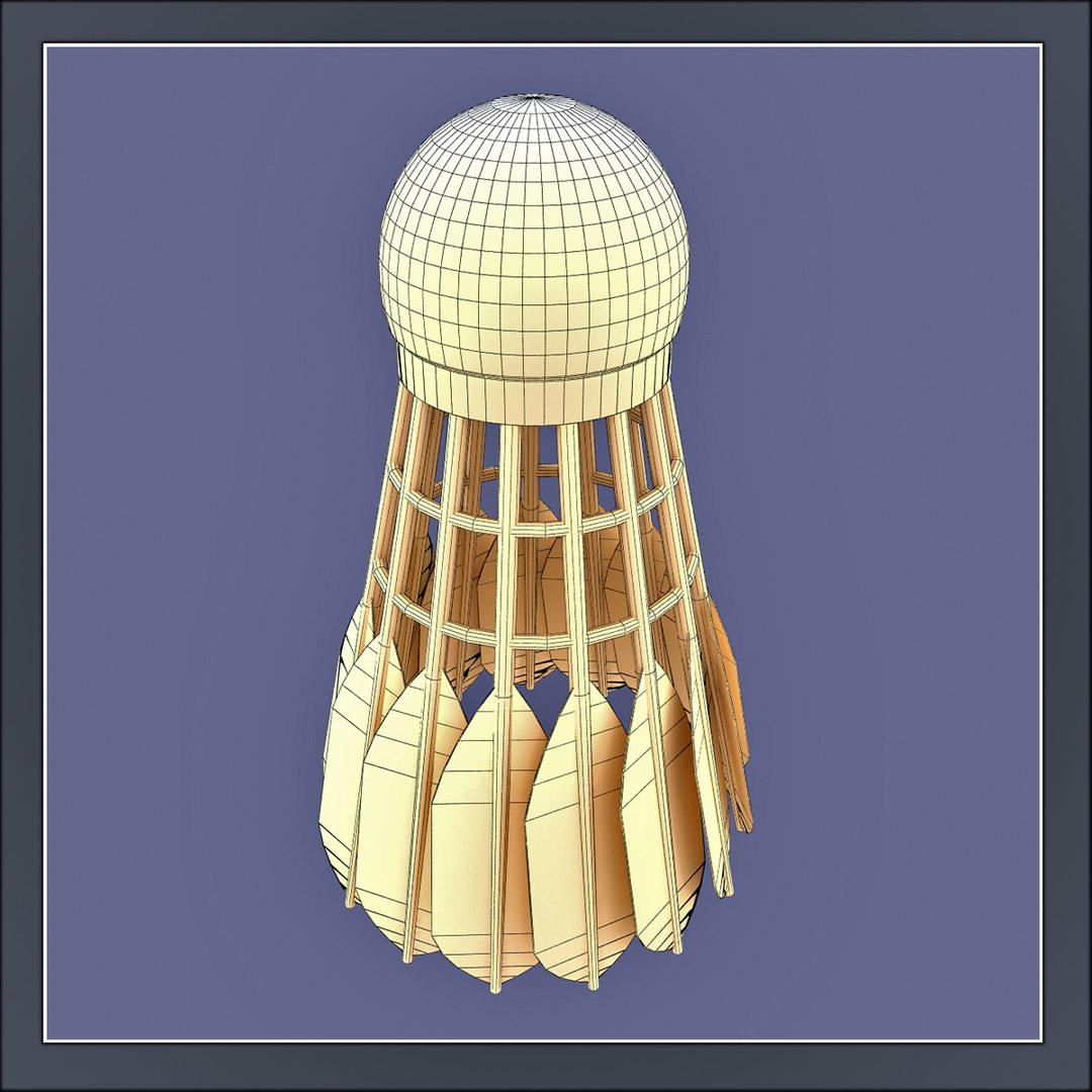 3d Badminton Racket Shuttlecock