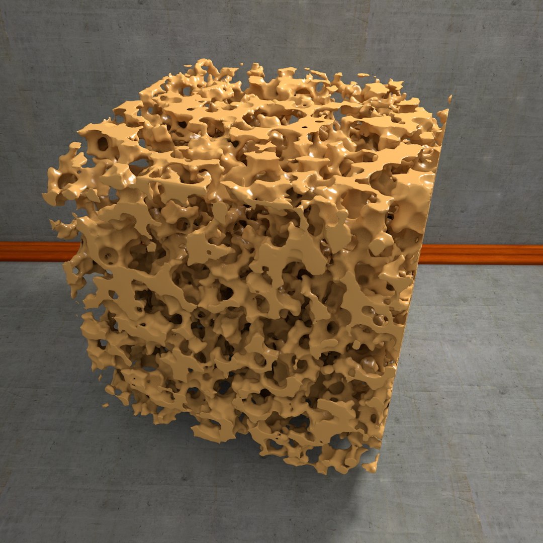 C4d Sponge Bone Spongy