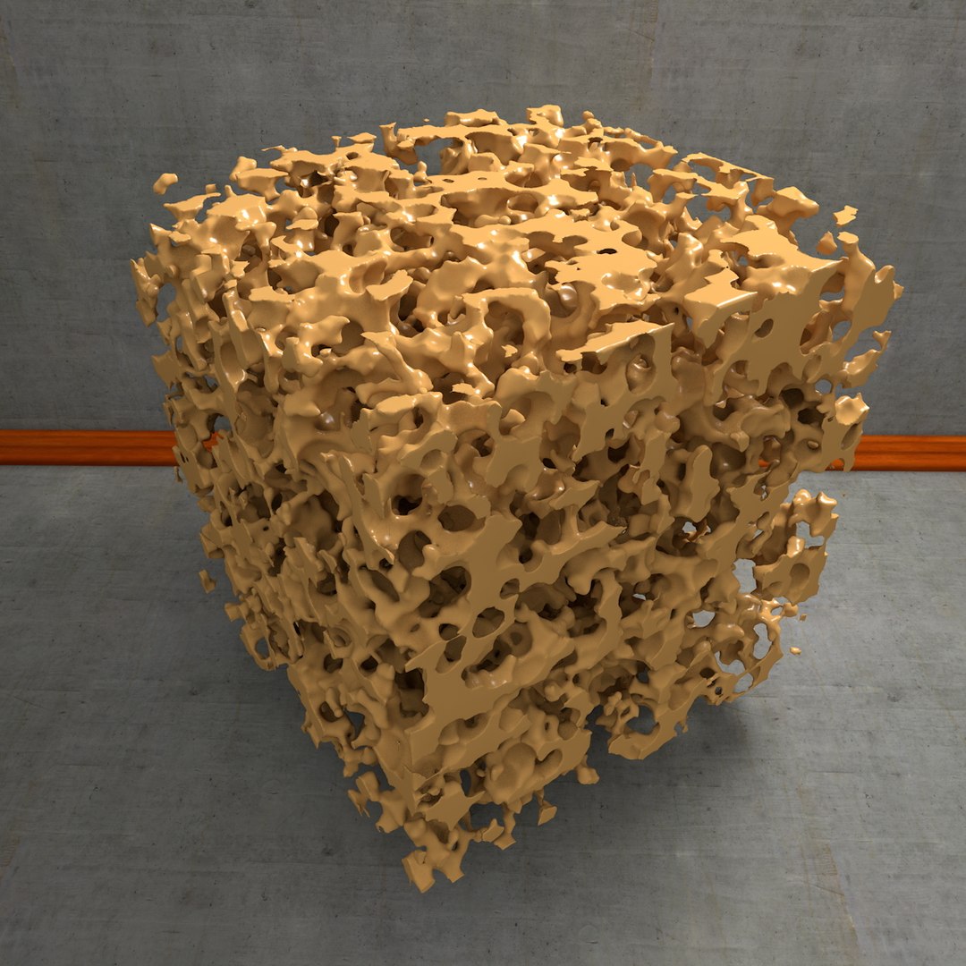C4d Sponge Bone Spongy