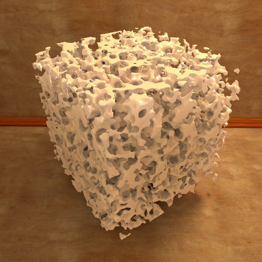 C4d Sponge Bone Spongy
