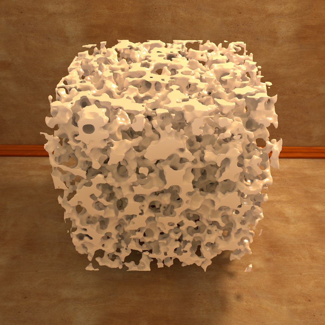 c4d sponge bone spongy