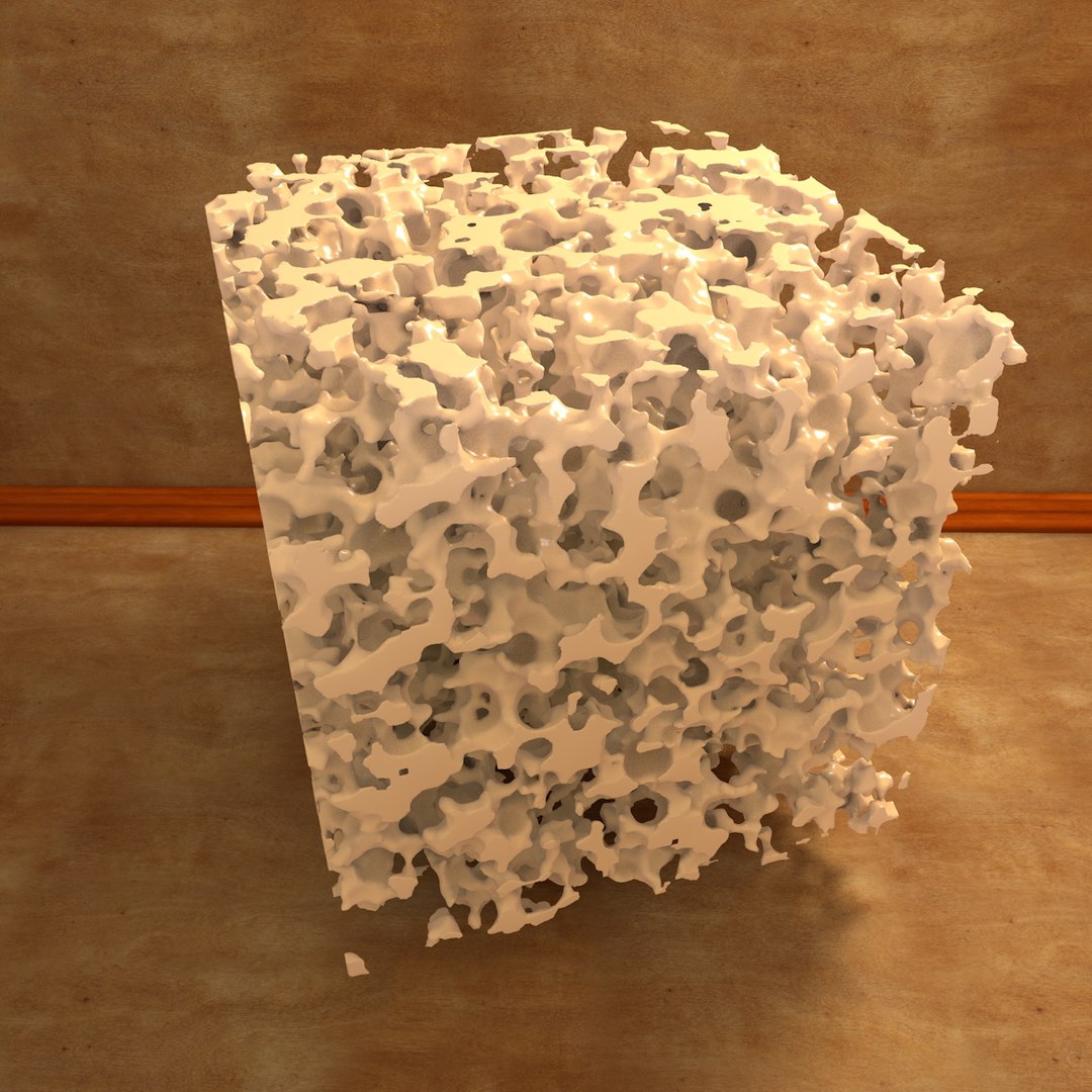 C4d Sponge Bone Spongy