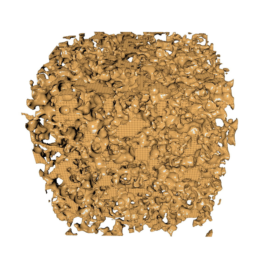 C4d Sponge Bone Spongy