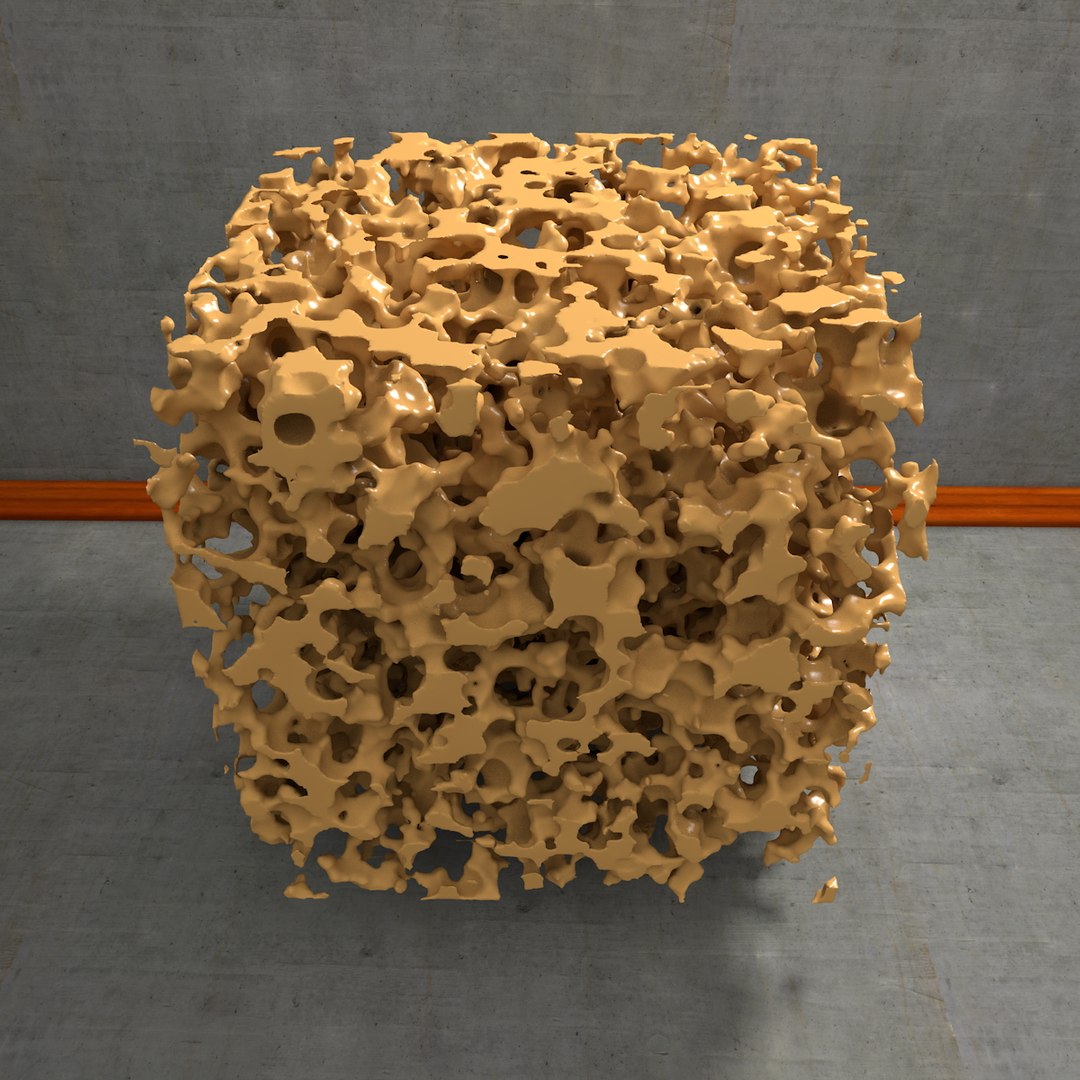 C4d Sponge Bone Spongy