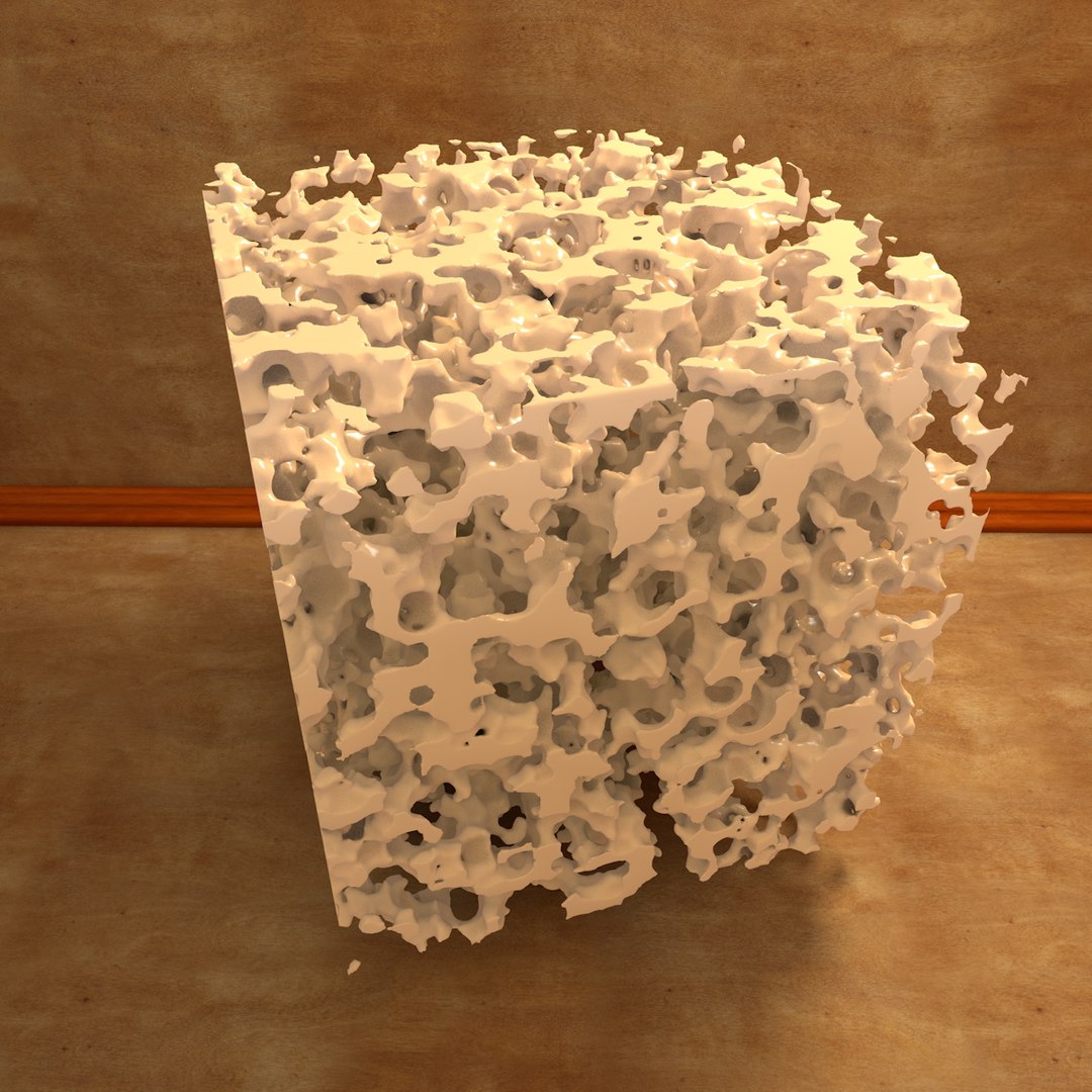 C4d Sponge Bone Spongy