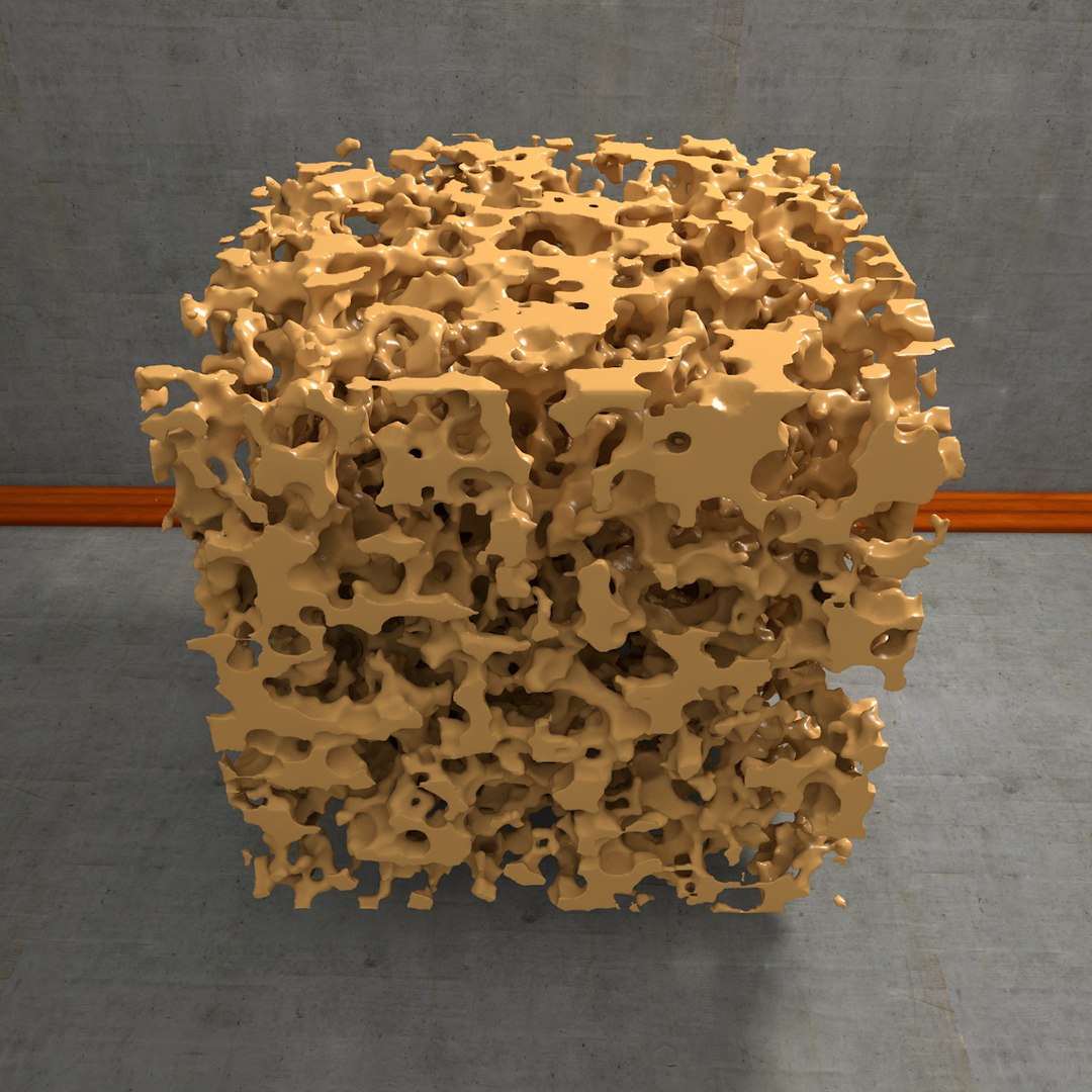c4d sponge bone spongy