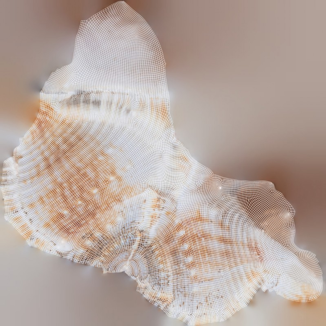 ストロベリーコンク Strombus Lentiginosus 殻 443Dモデル - TurboSquid 2507226