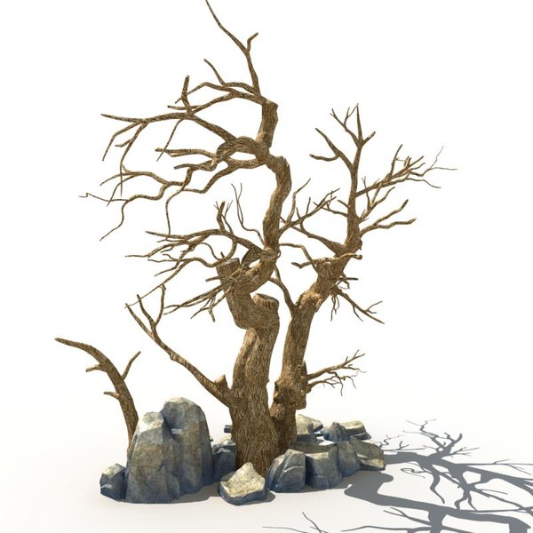 3d model scary tree dry