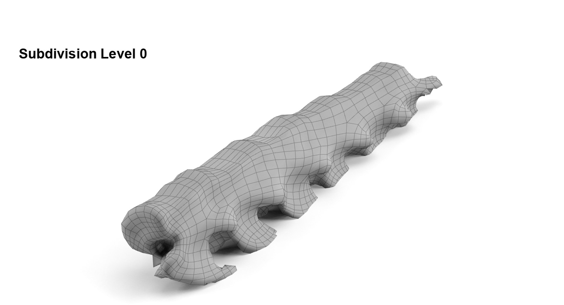 Realistic Animal Spine 3ds