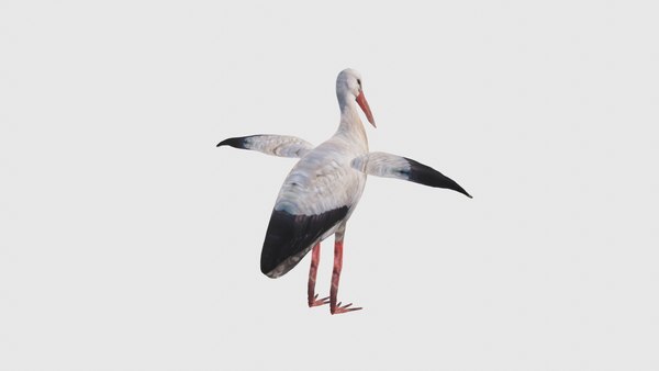 3D Low Poly Stork Rigged With Realistic Texture - TurboSquid 1876005