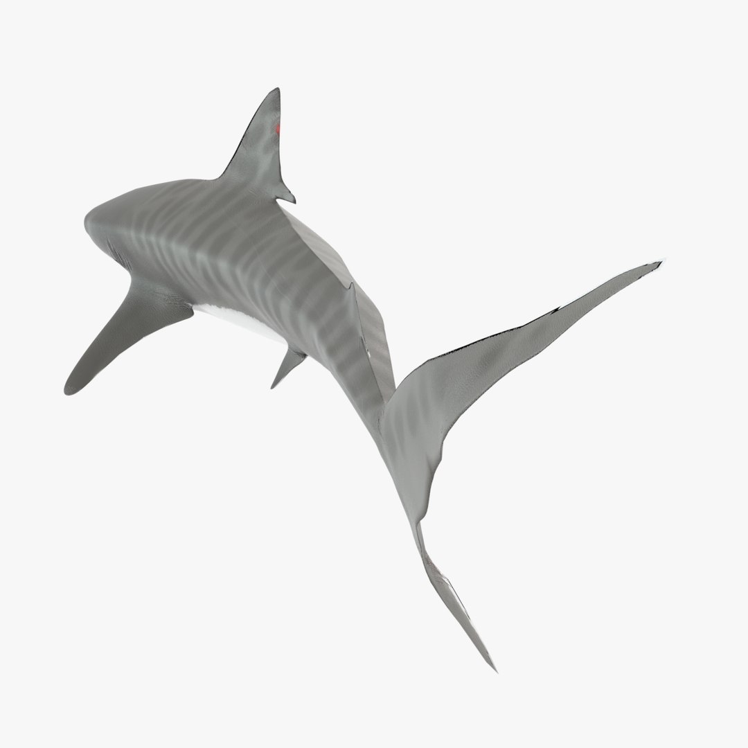 Tiger Shark 3ds