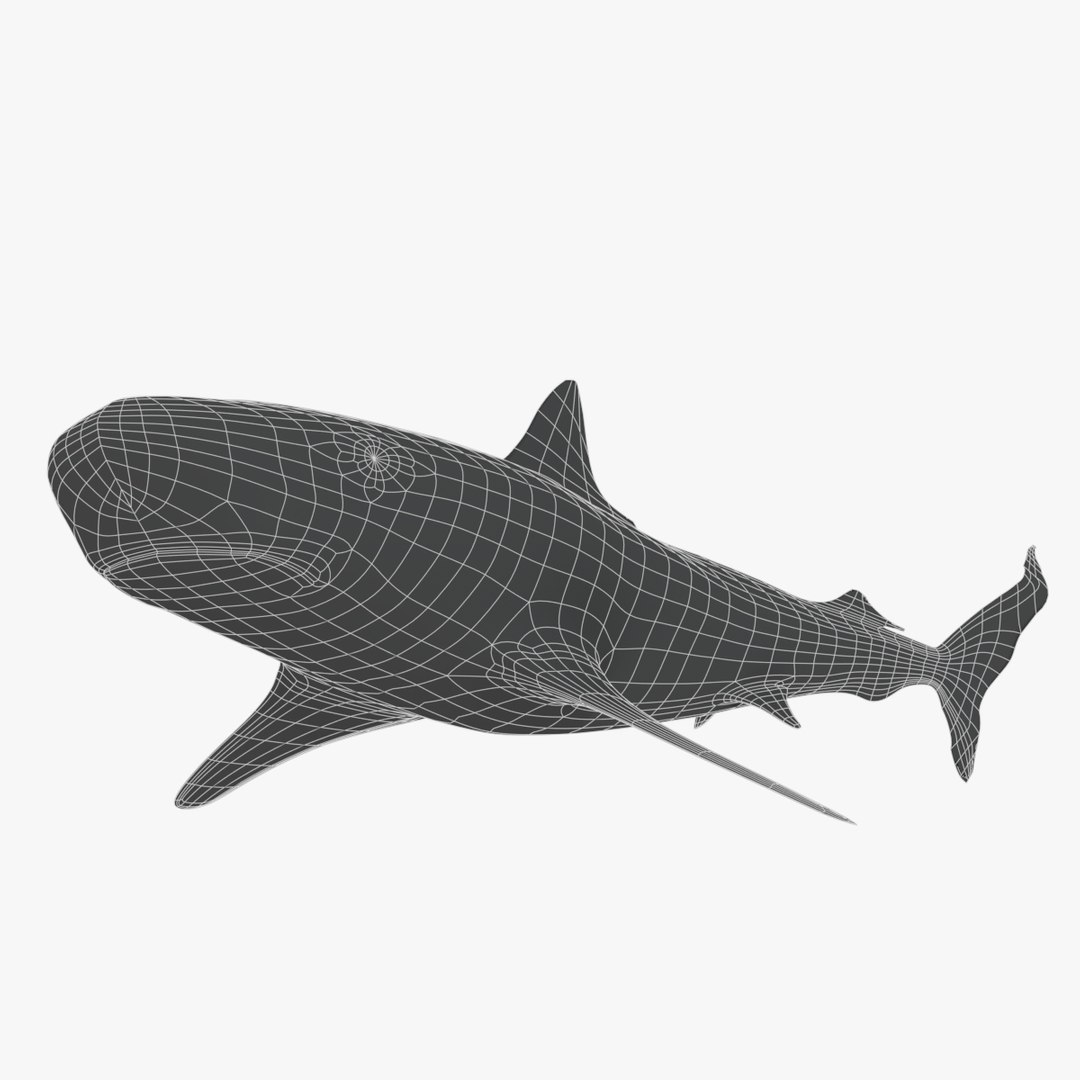 Tiger Shark 3ds