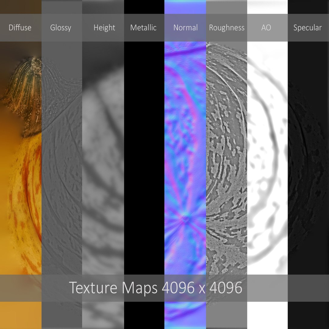 Photoscanned Pumpkins 3D Model - TurboSquid 1255502