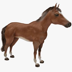 3D Horse Realistic Models - Browse & Download Formats - TurboSquid