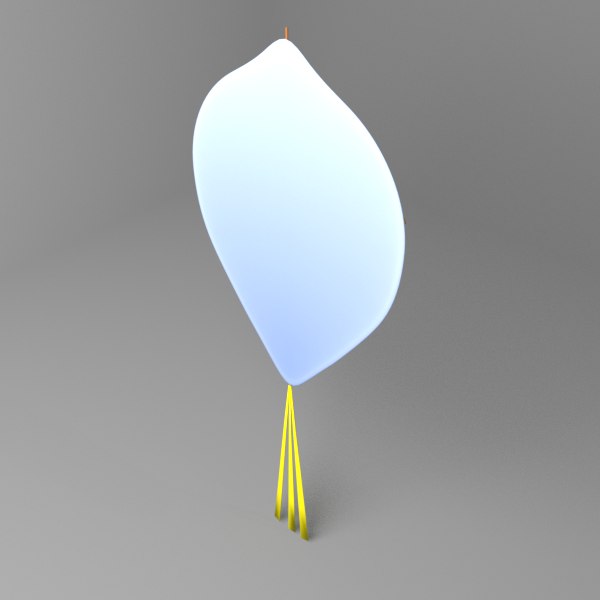 Kite 3D Models for Download | TurboSquid