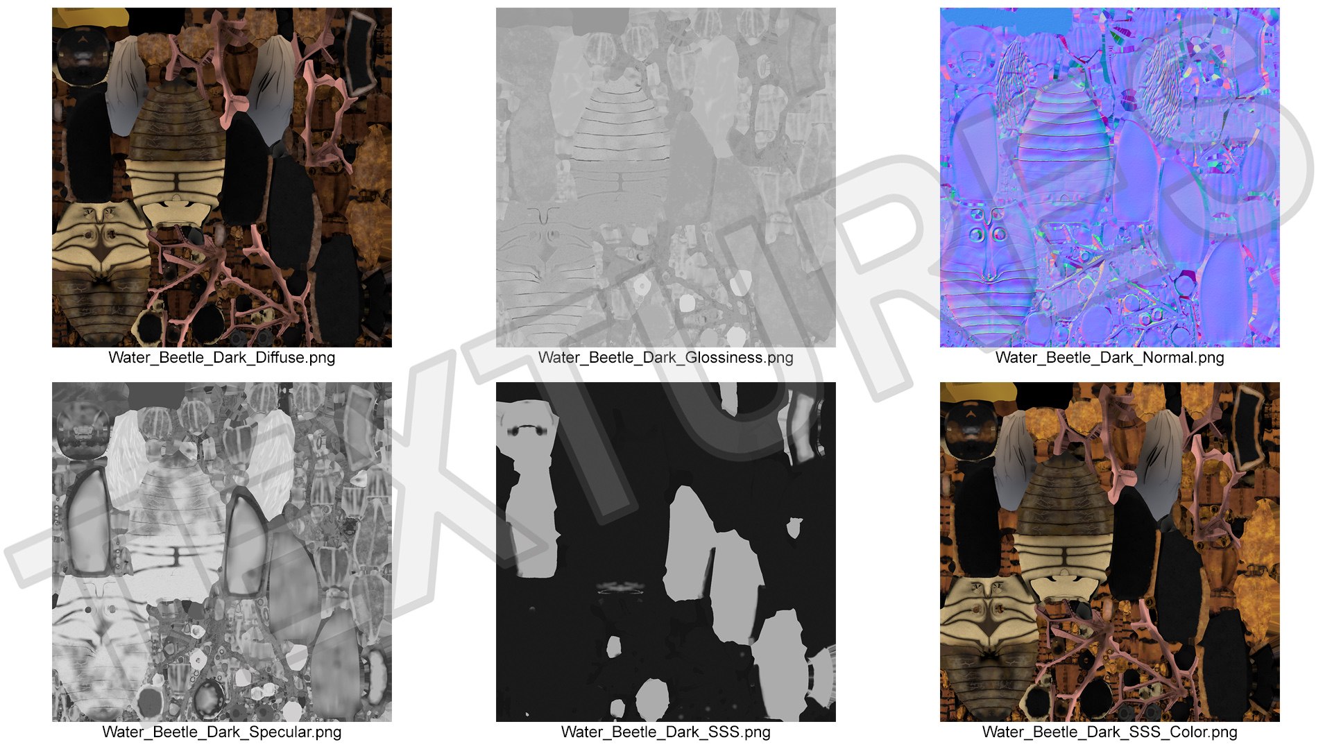 3D Screech Beetle Black Realistic Rigged For Cinema 4D - TurboSquid 2314636