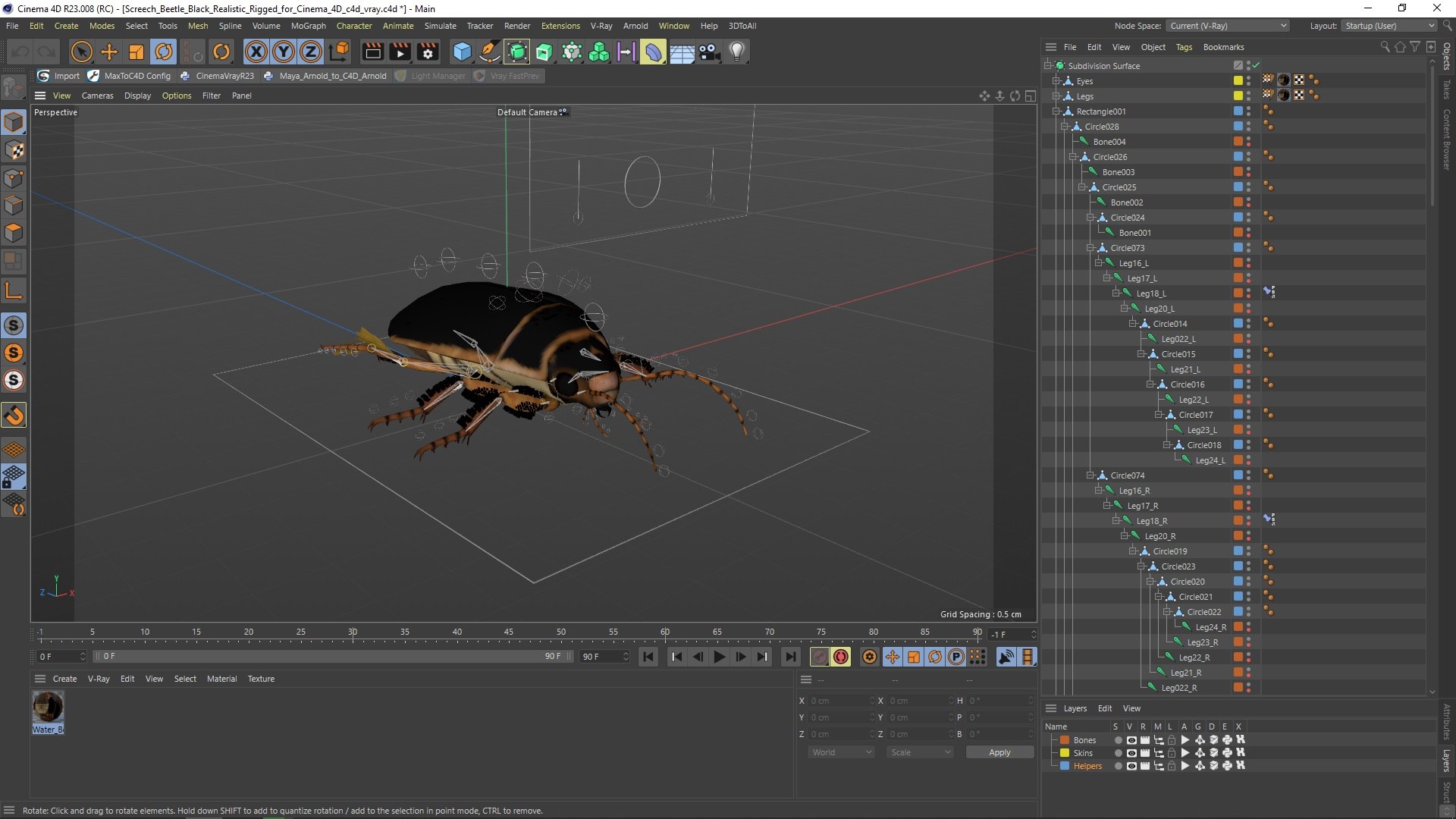 3D Screech Beetle Black Realistic Rigged For Cinema 4D - TurboSquid 2314636