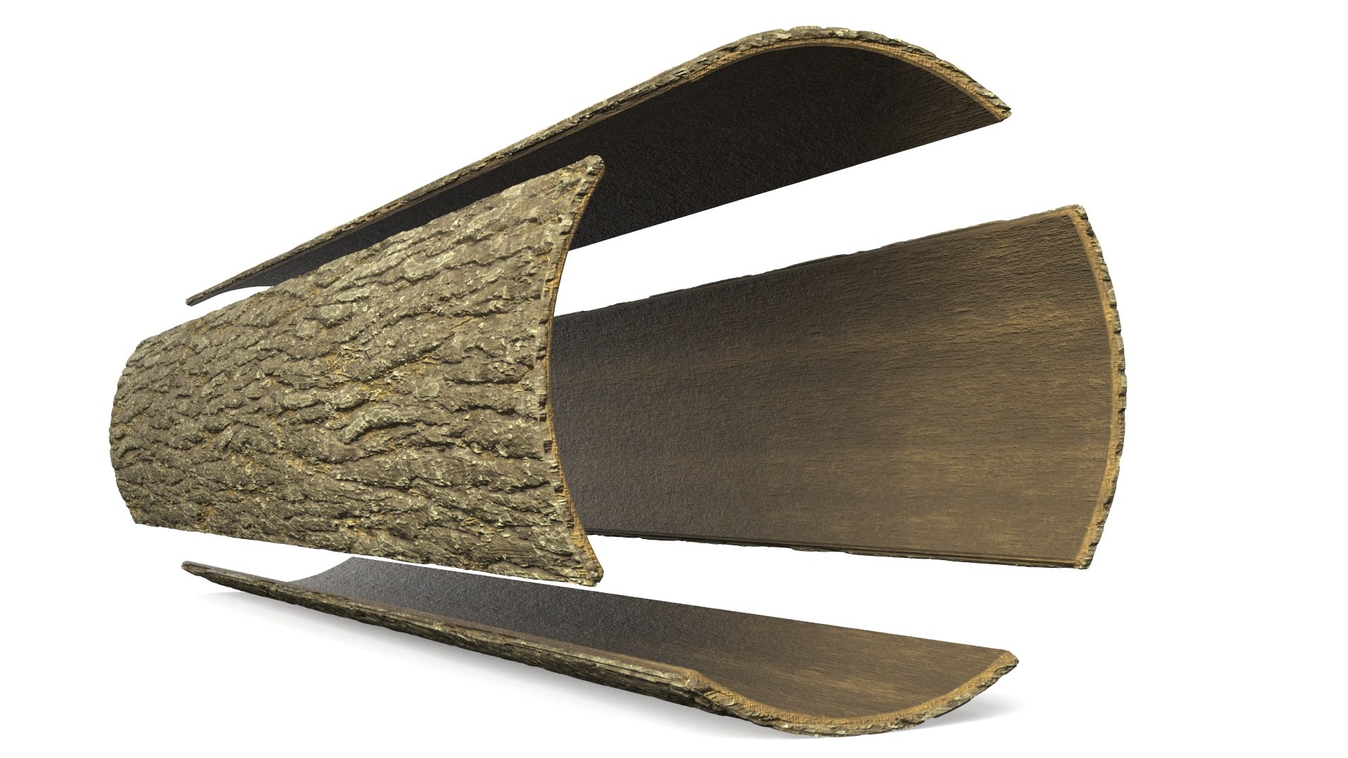 3D Structure Of Wood Bark - TurboSquid 2274460