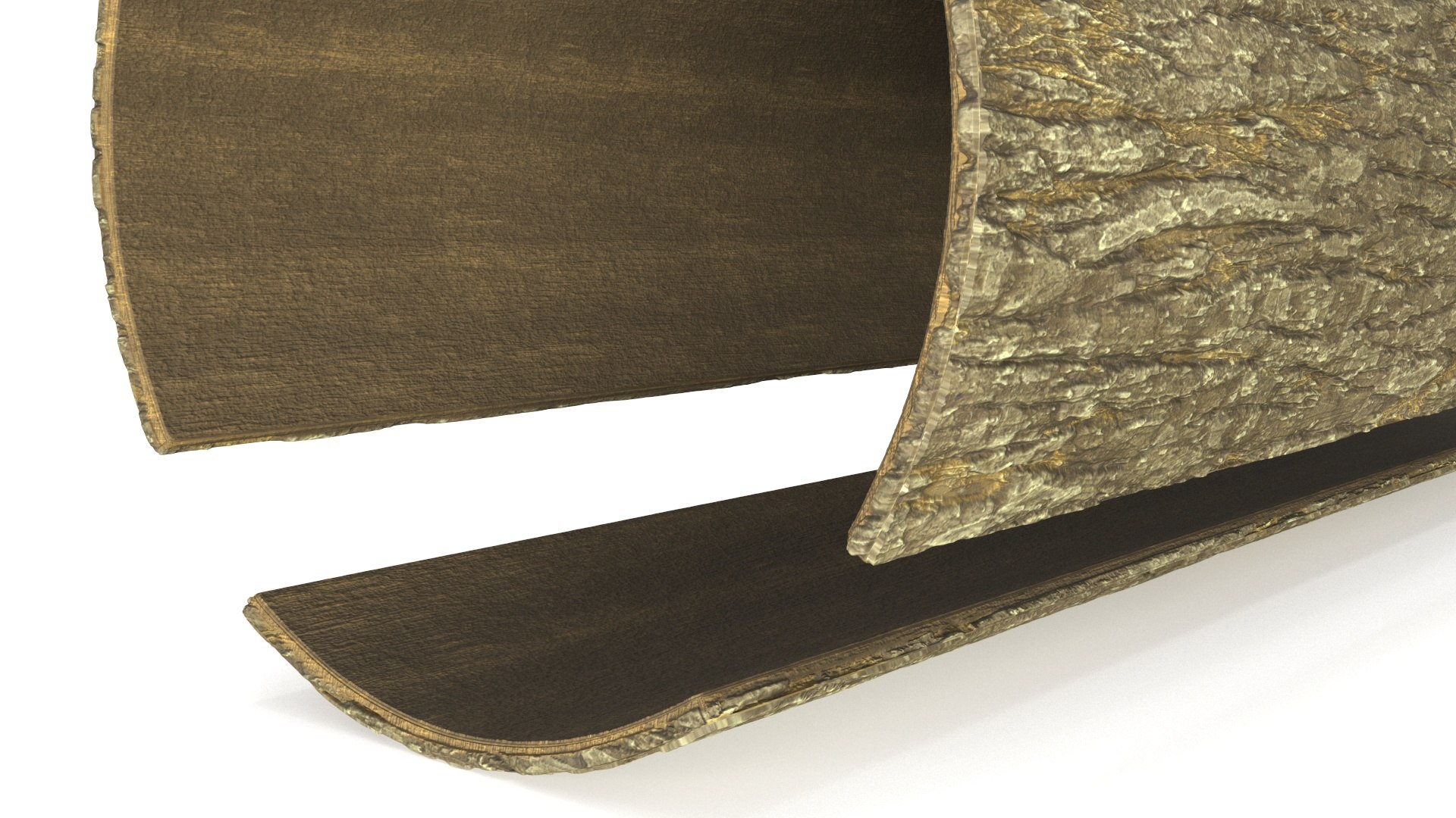 3D Structure Of Wood Bark - TurboSquid 2274460