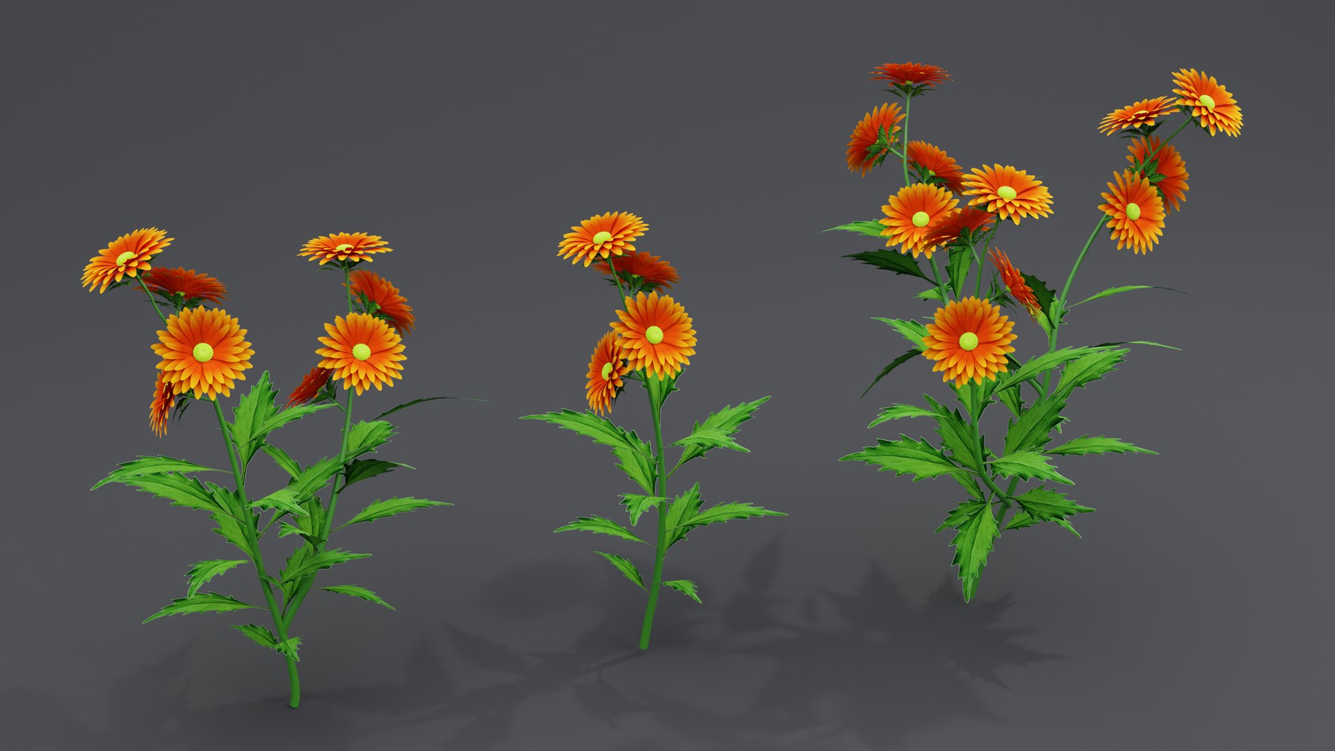 3d Flower Plant 3D Model - TurboSquid 2087056