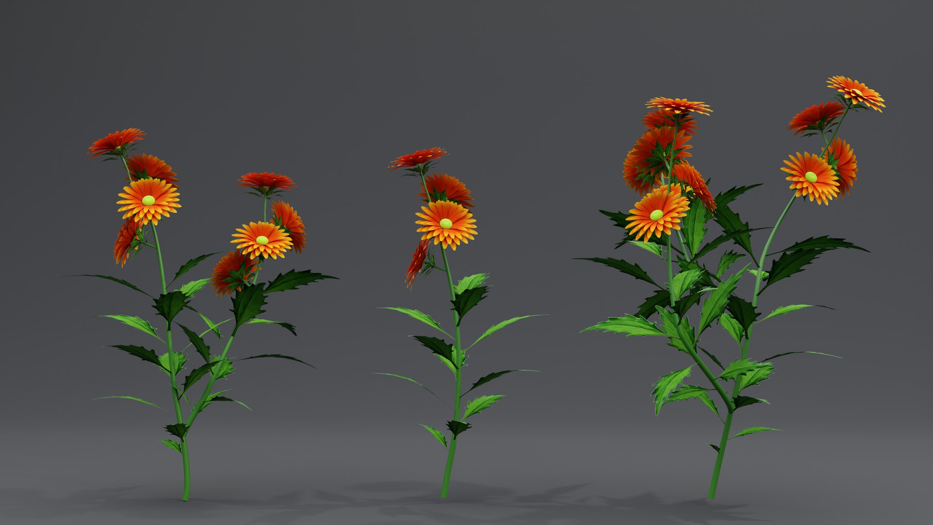 3d Flower Plant 3D Model - TurboSquid 2087056