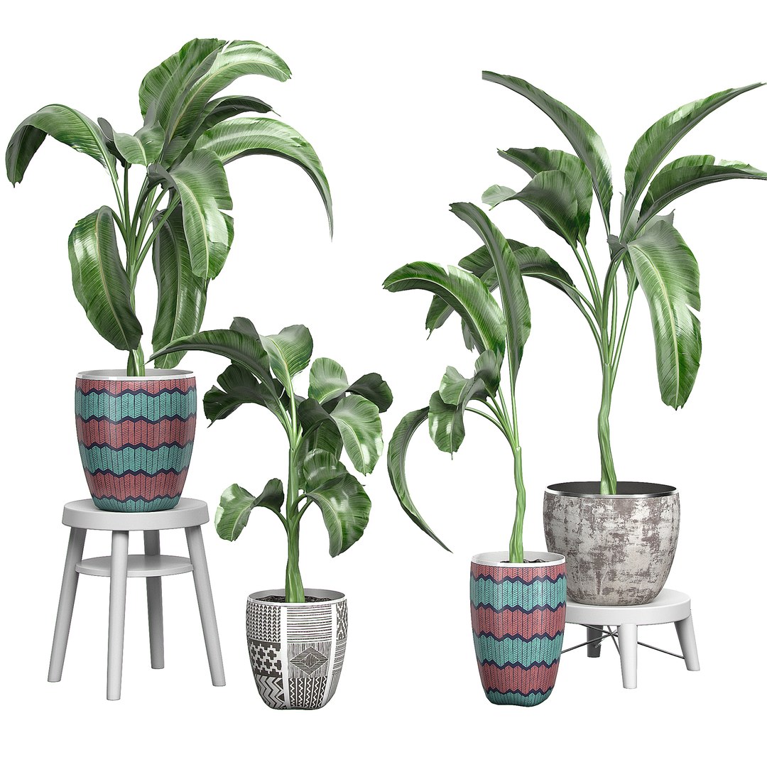 3D Flower Pack 125 - TurboSquid 1638878