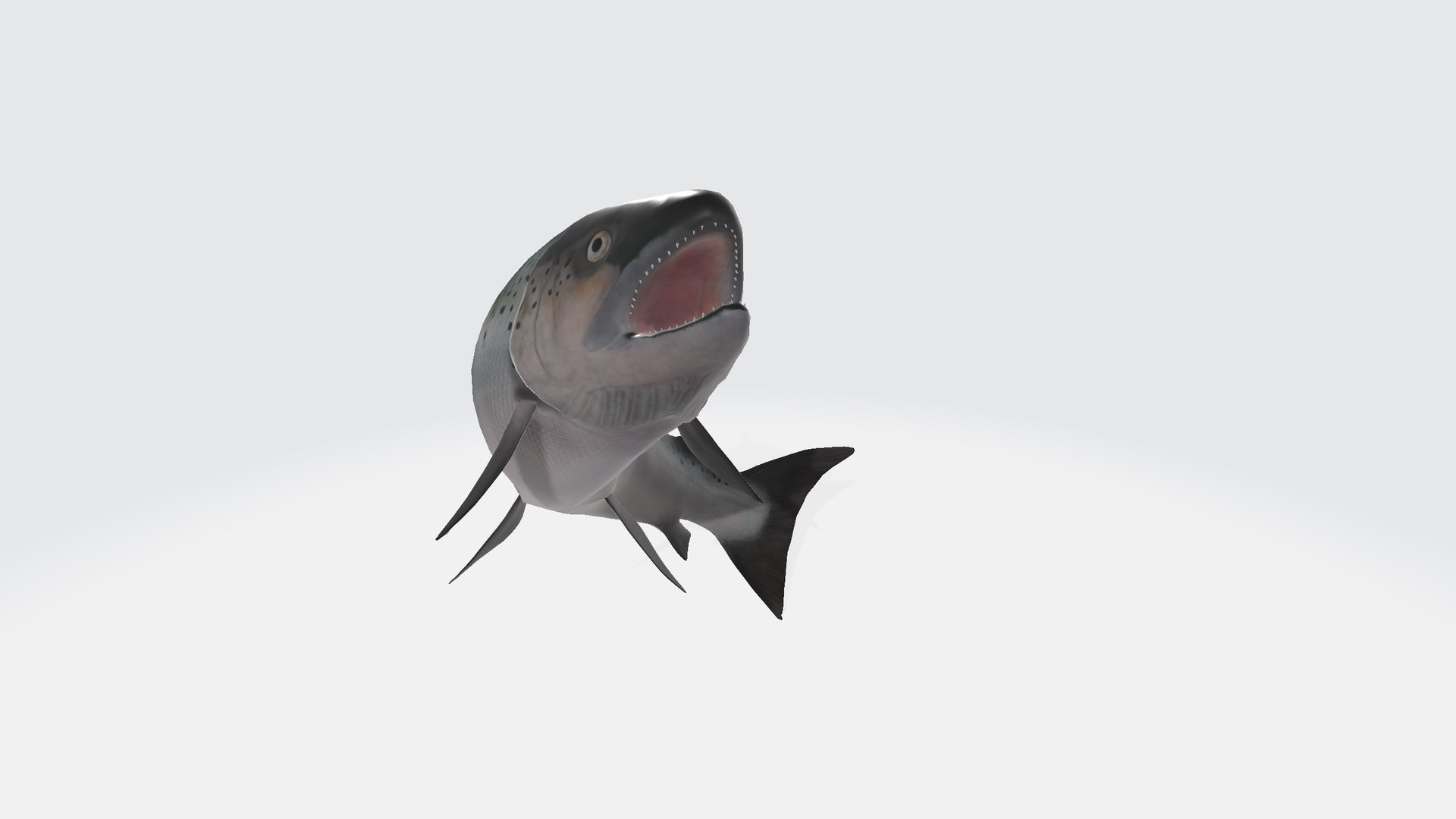 Salmon 3D Model - TurboSquid 2306402