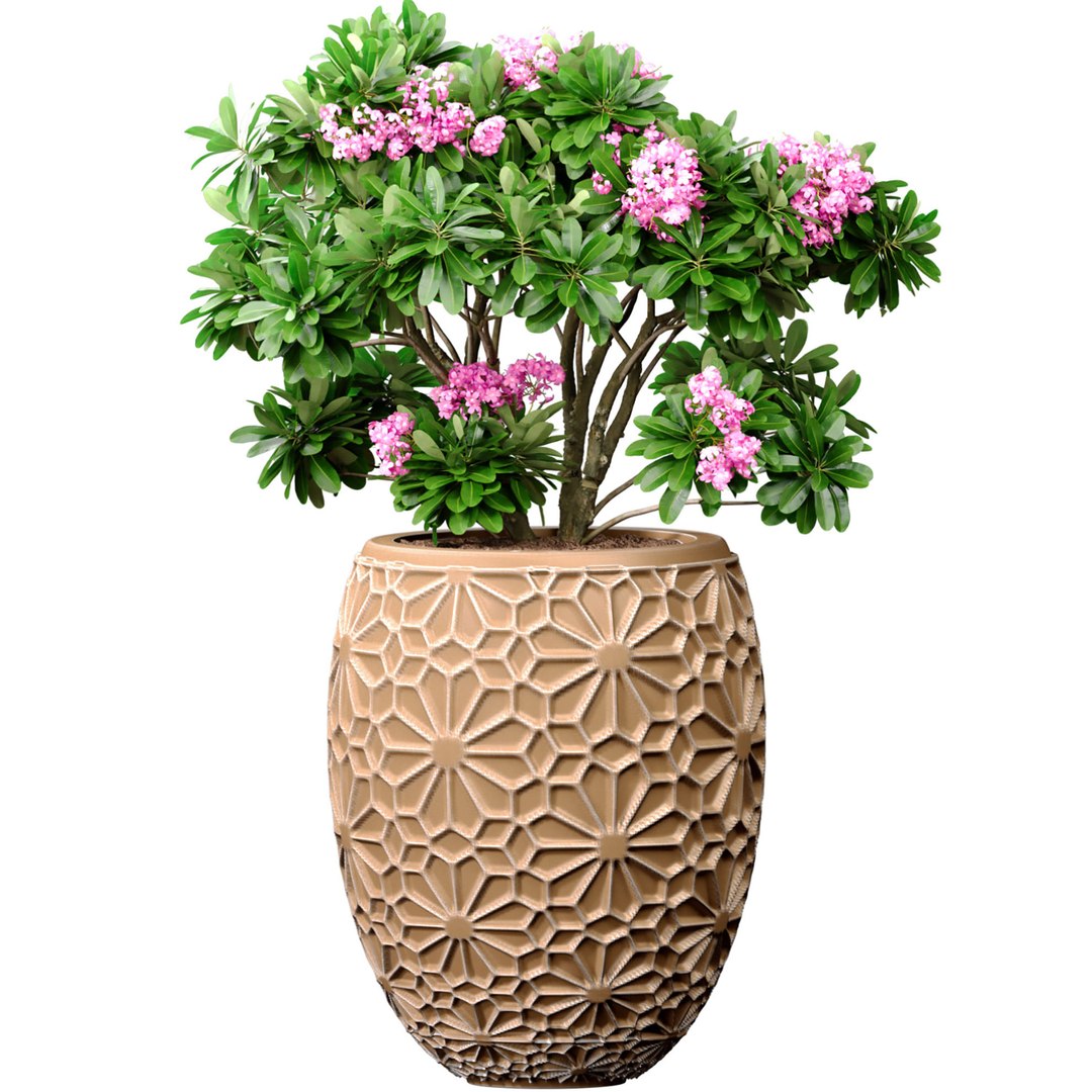 Decorative Flowering Garden Tree Oriental Bush Pot Flowerpot 3D Model ...