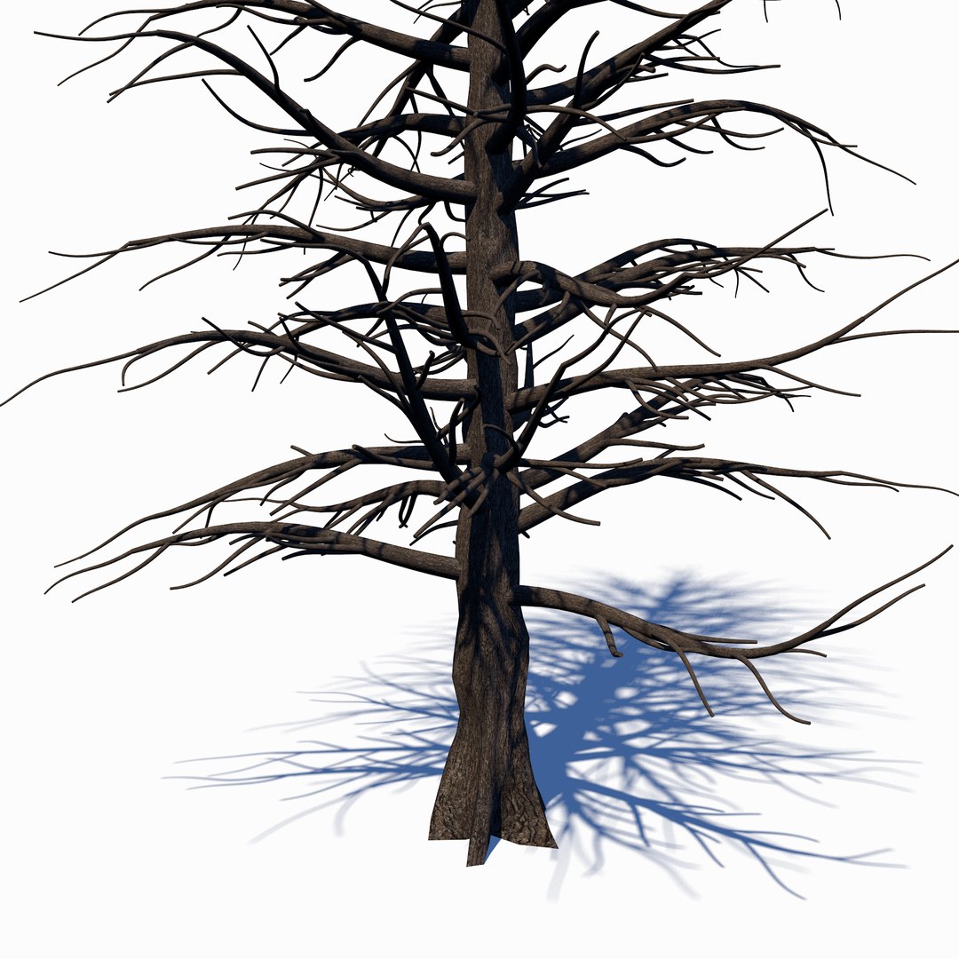 3D Dead Tree - TurboSquid 1309636