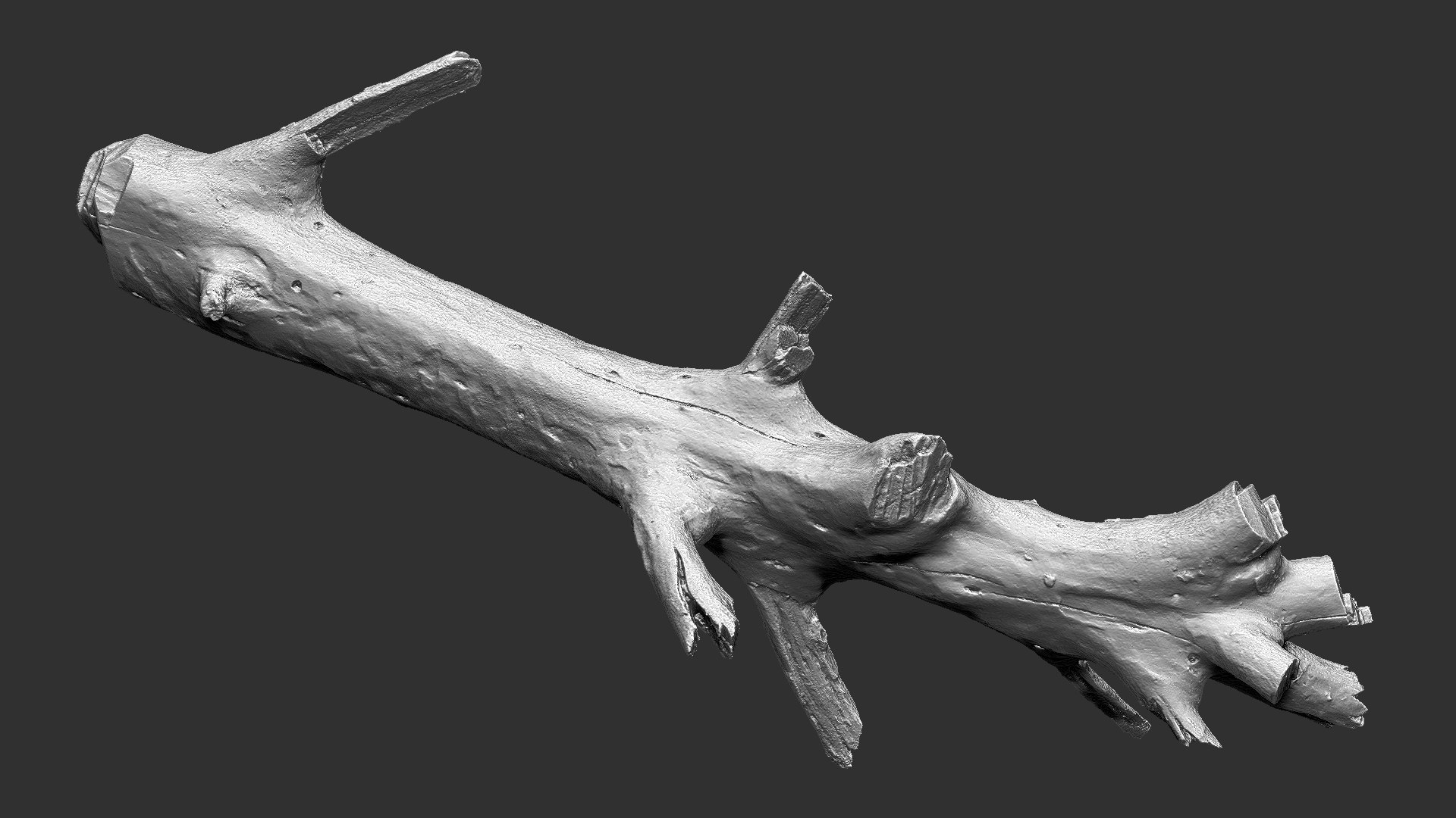Scan Of Tree Trunk In Highpoly Model - TurboSquid 2149407