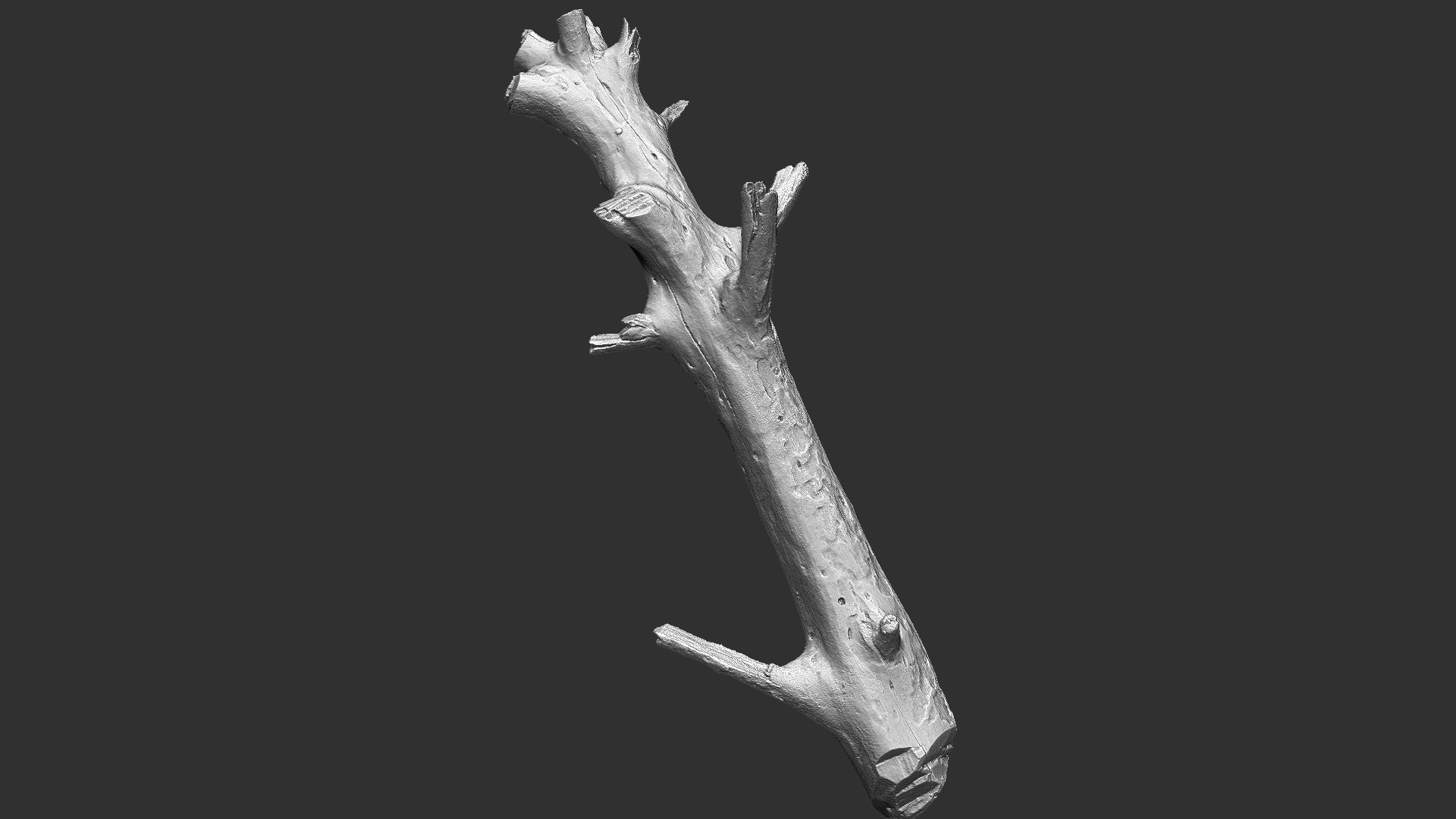 Scan Of Tree Trunk In Highpoly Model - TurboSquid 2149407